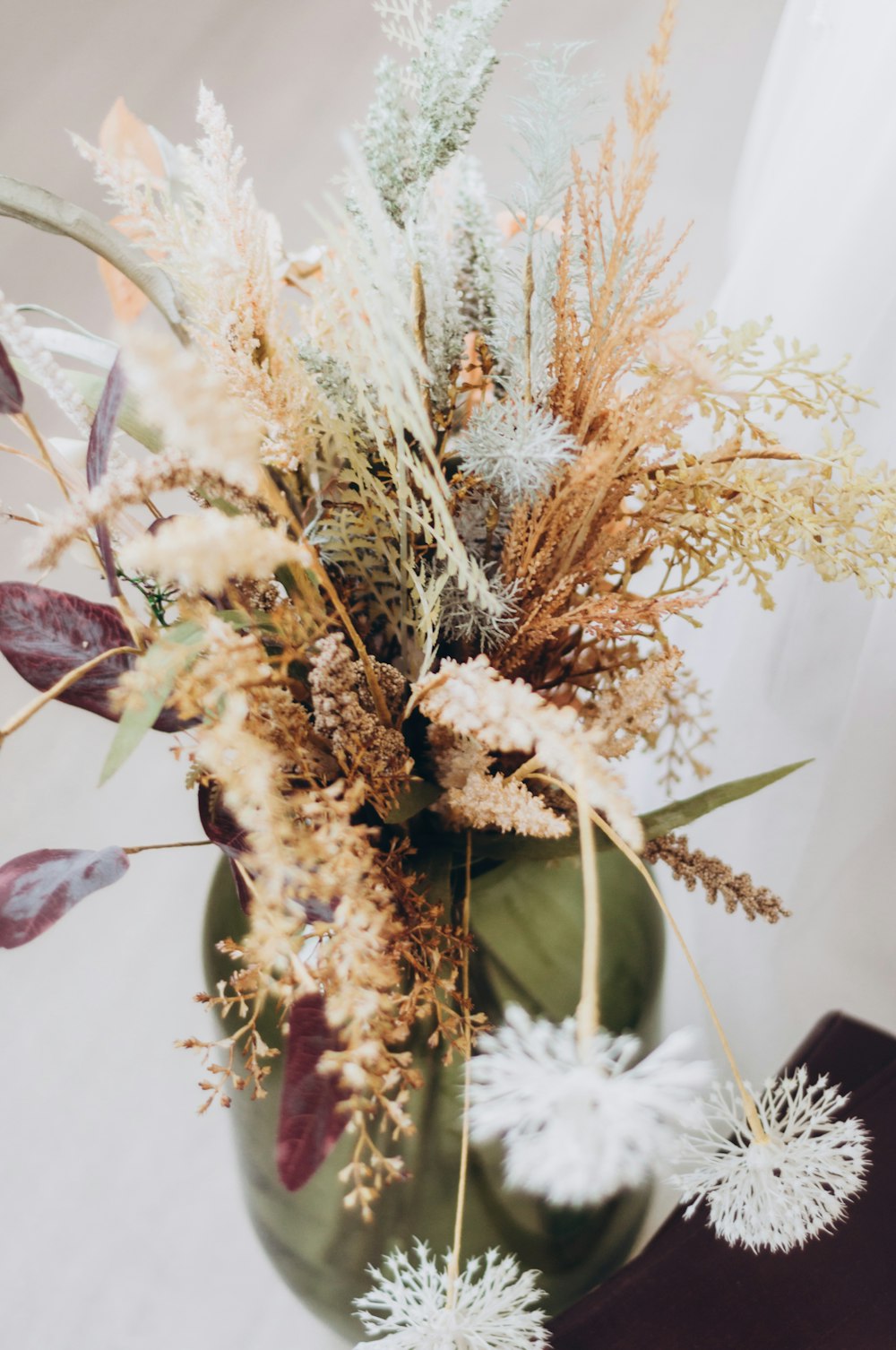 Gros plan d’une plante photo – Photo Fleurs séchées Gratuite sur Unsplash Gros plan d’une plante photo – Photo Fleurs séchées Gratuite sur Unsplash