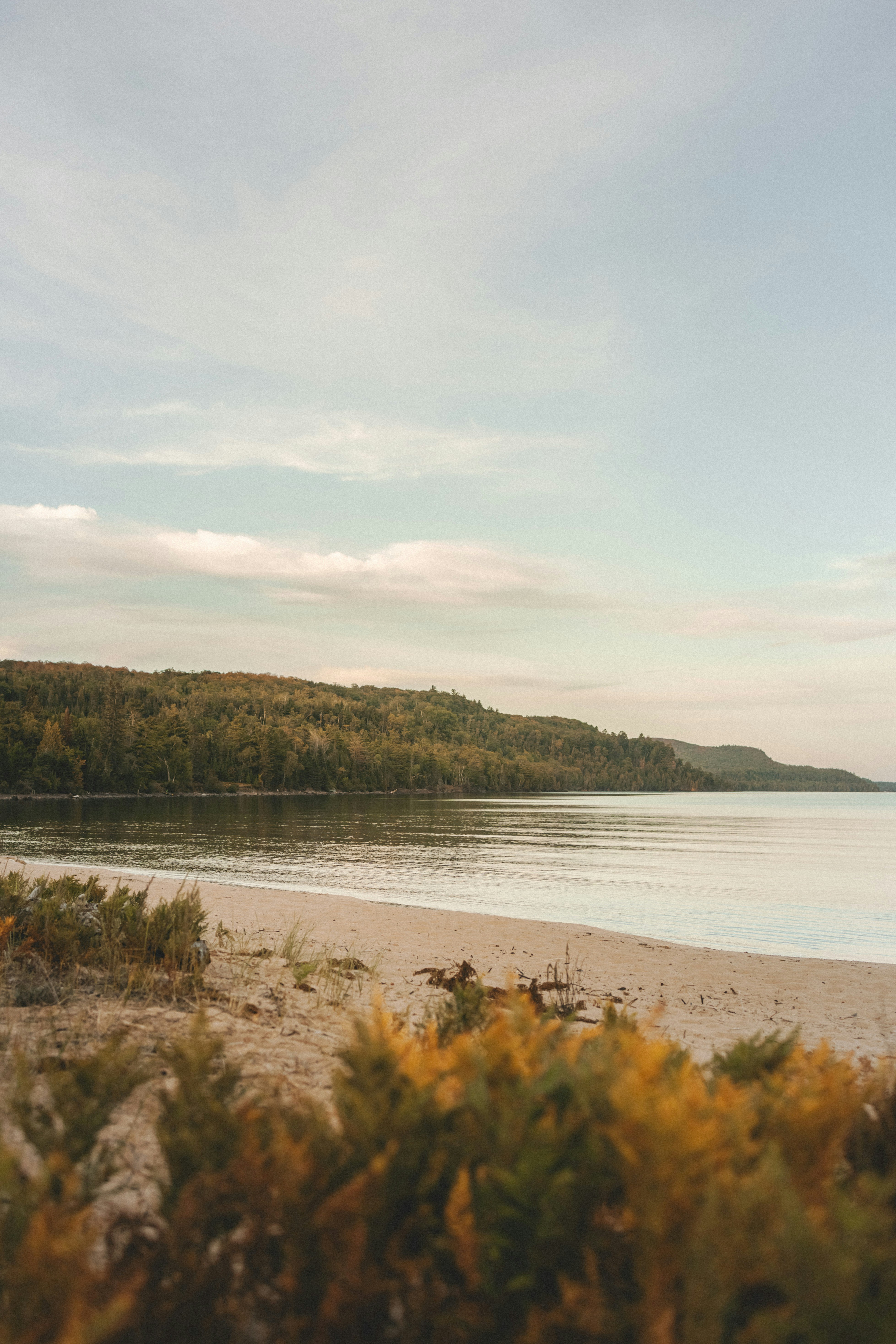 Dusk on the Lake Shore: Warm Shrubs, Calm Water, and a Forested Horizon
