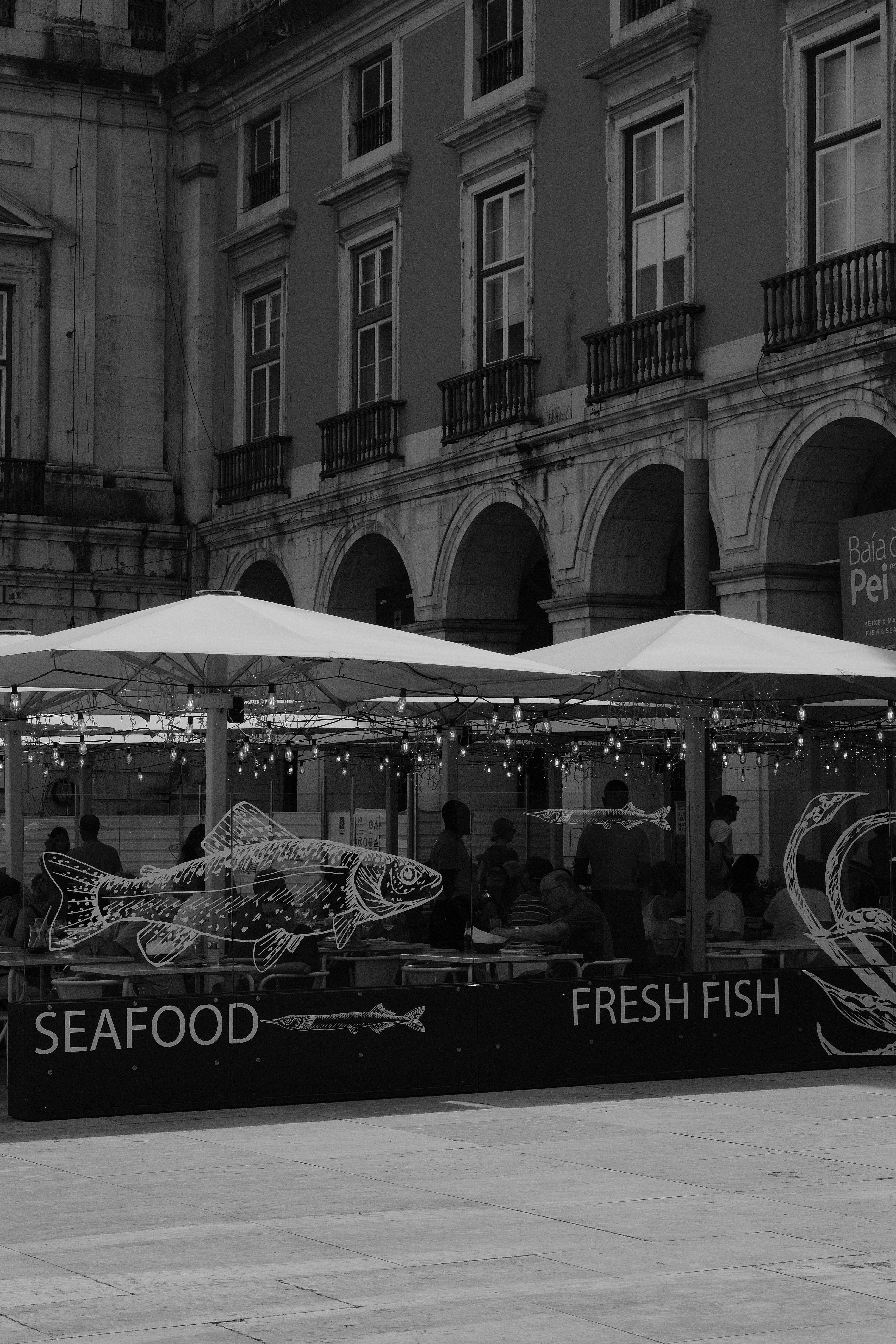 Under the Canopy: A Seafood Market Framed by City Facades