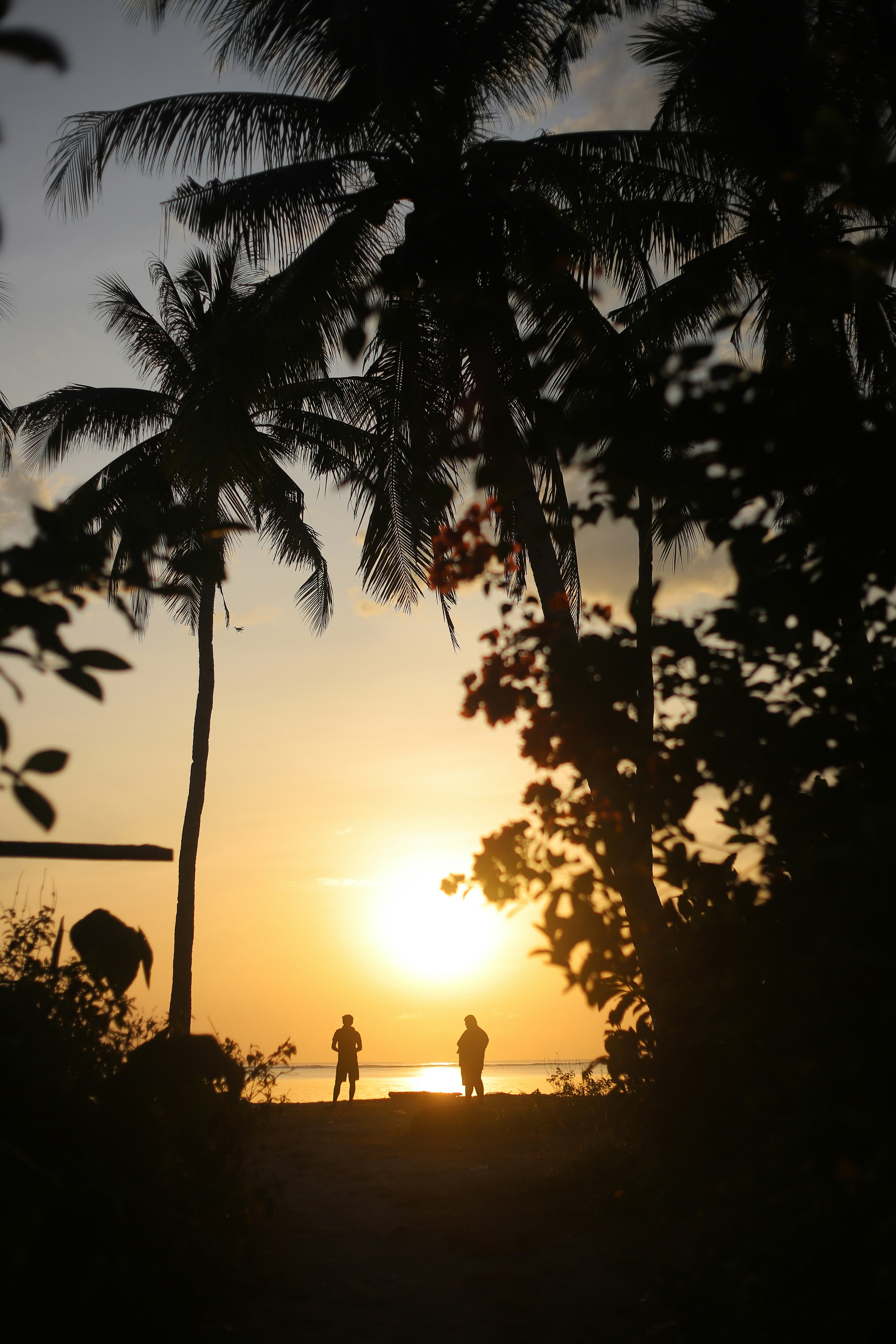 A couple of people standing under a tree at sunset photo – Free Siargao ...