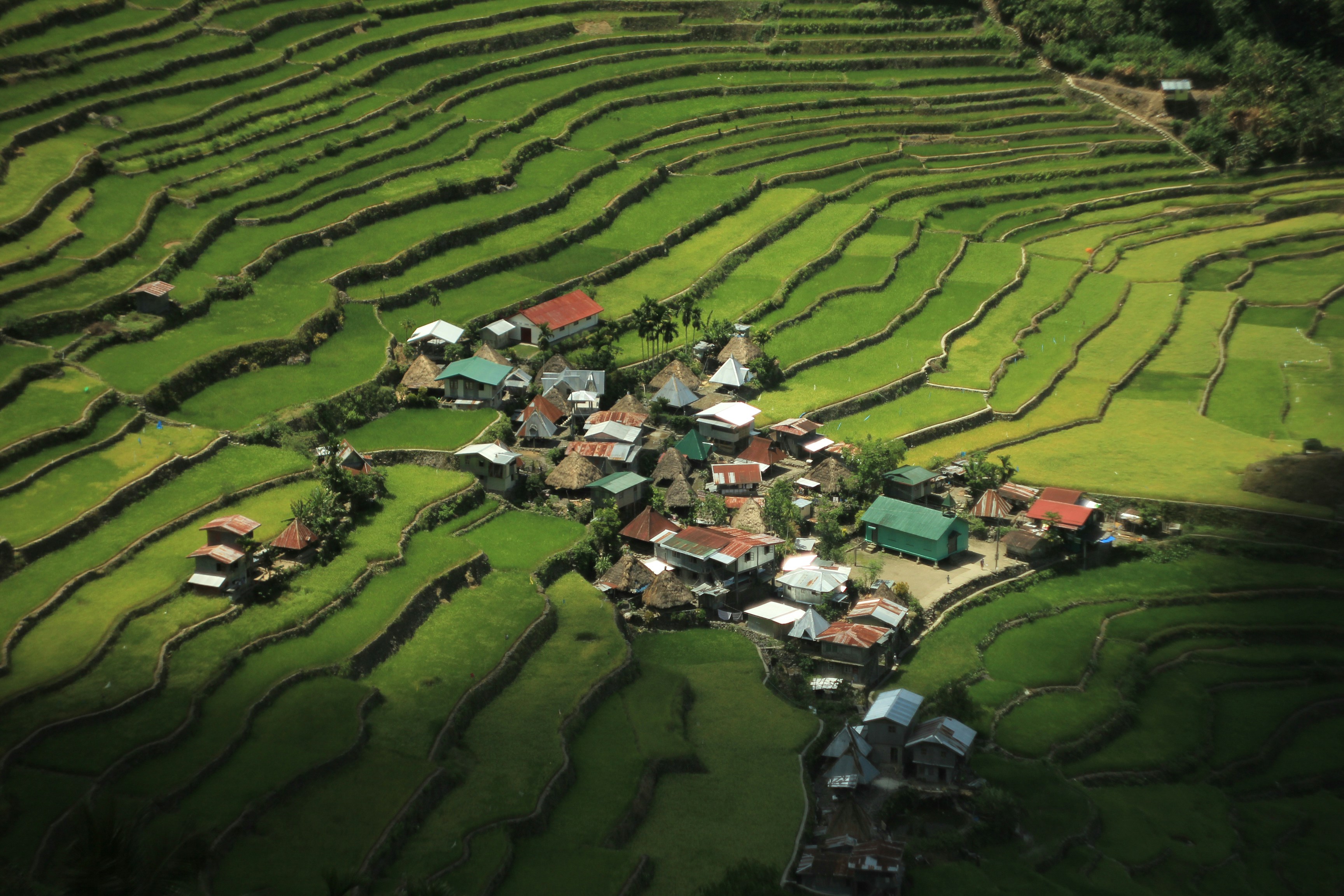 Aerial view of a terraced village nestled among vibrant green rice fields, showcasing the intricate patterns of agriculture and rural life.