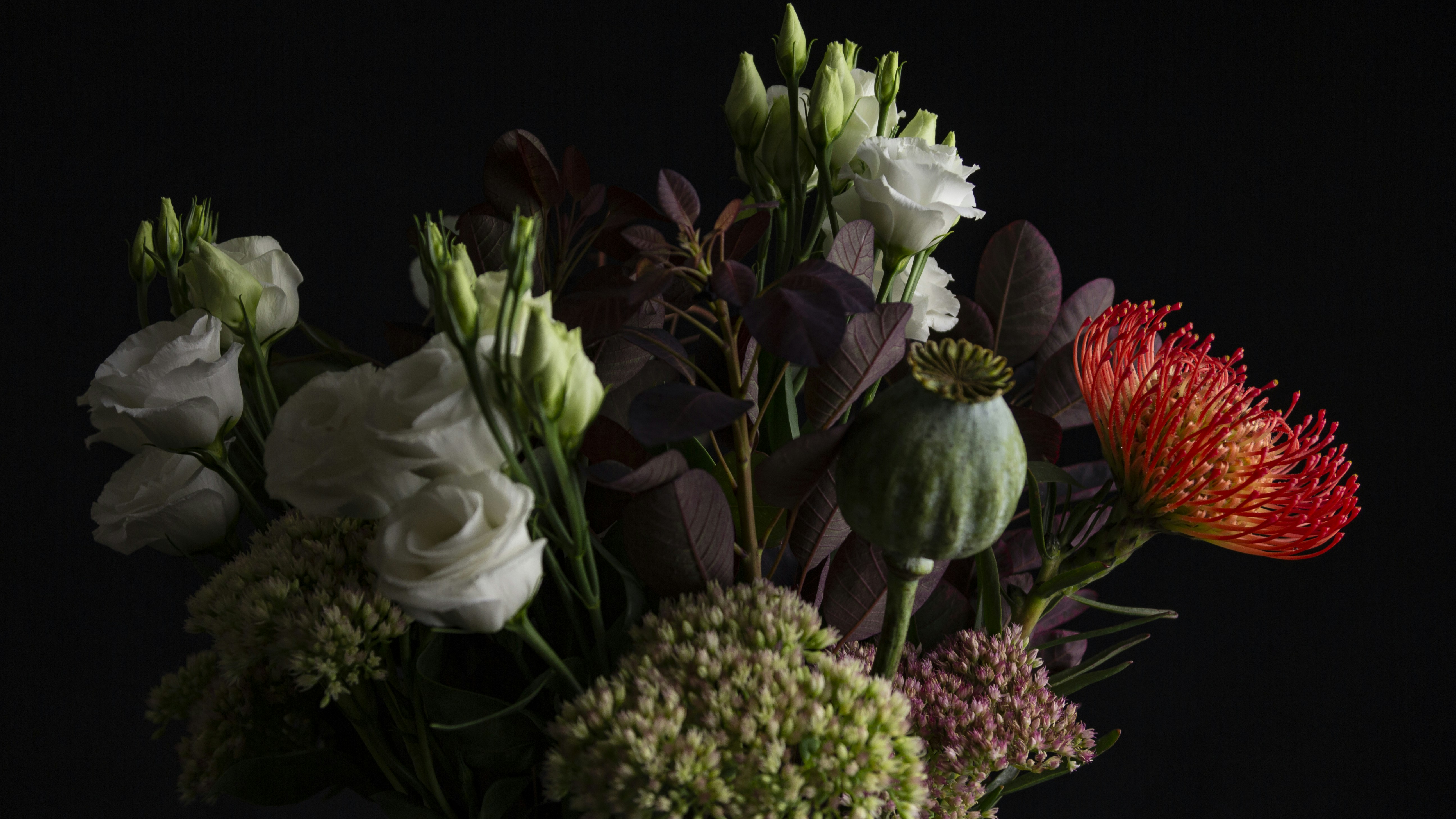 A group of flowers photo – Free Plant Image on Unsplash