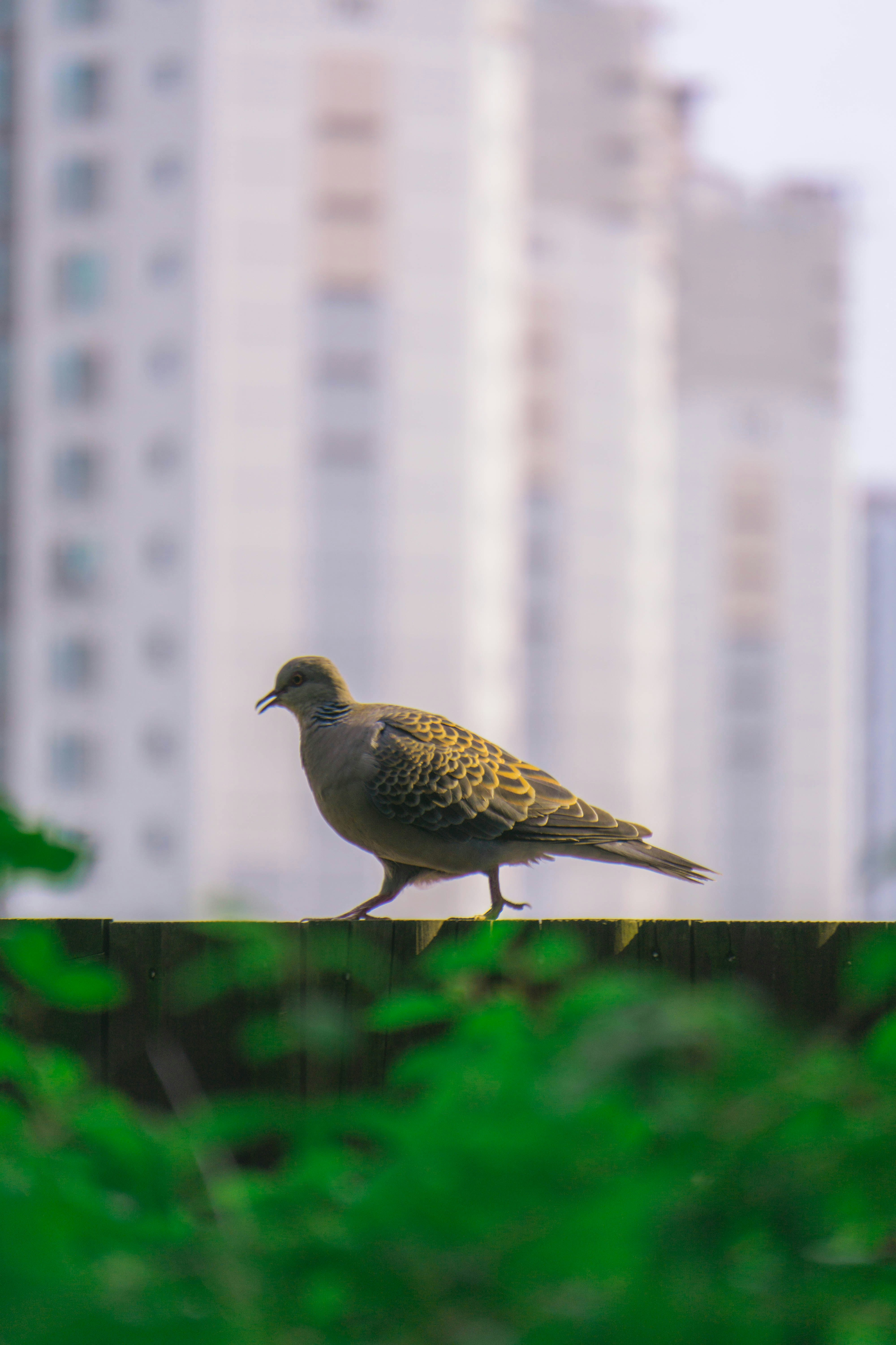 a bird standing on a branch