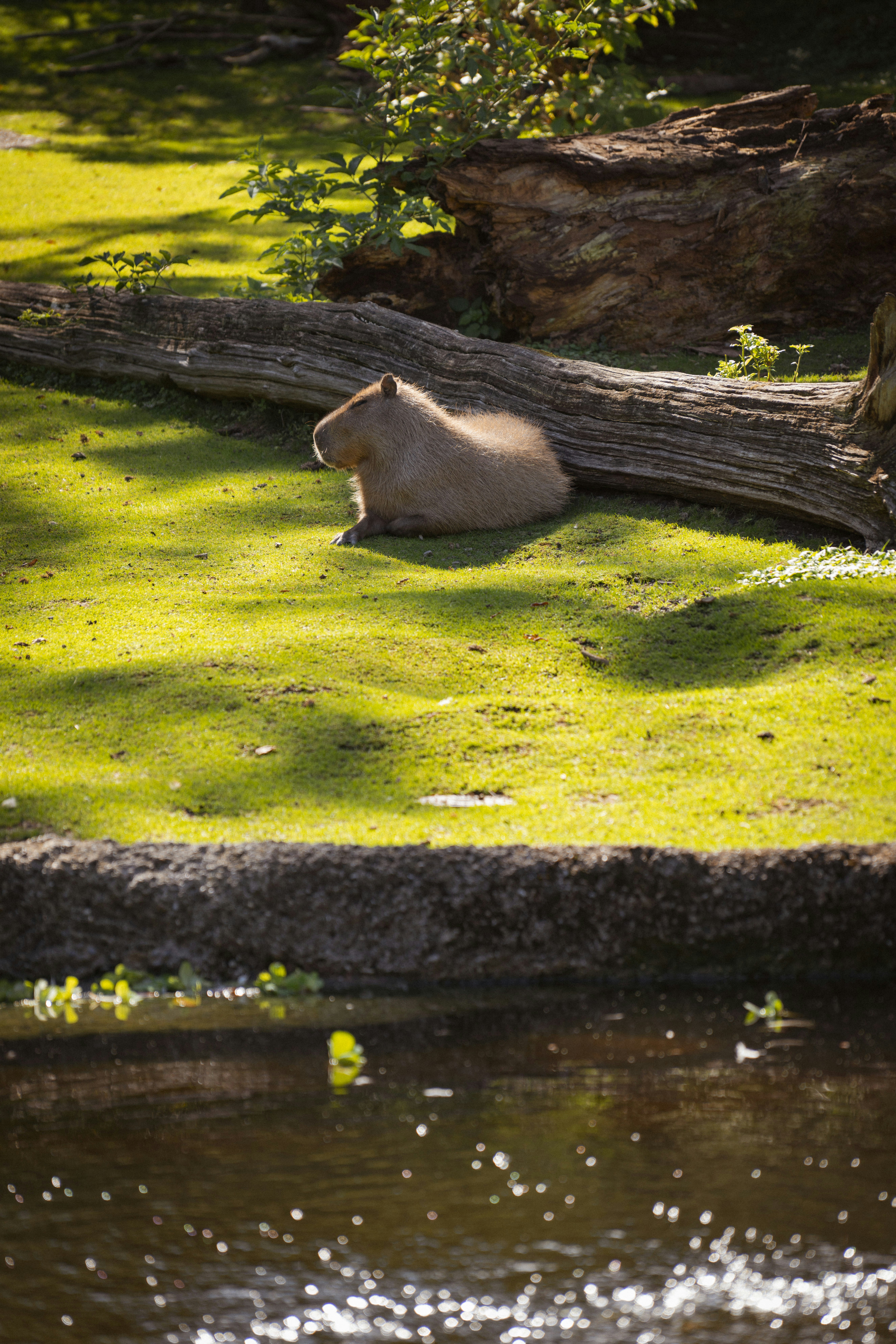 Photo by Sergio Zhukov with Sony Alpha 7R II