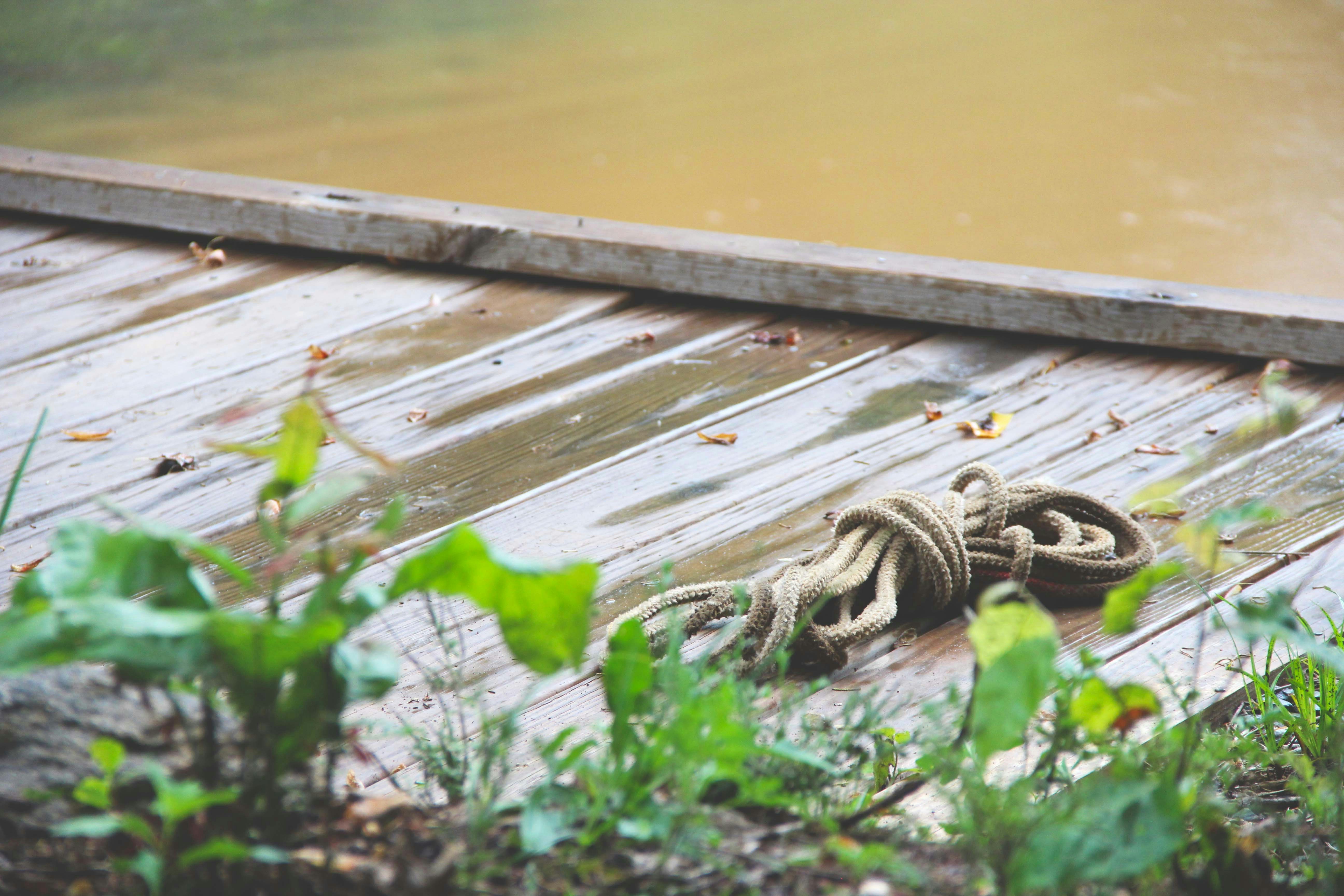 Coiled rope on a wooden dock with blurred greenery in the foreground.