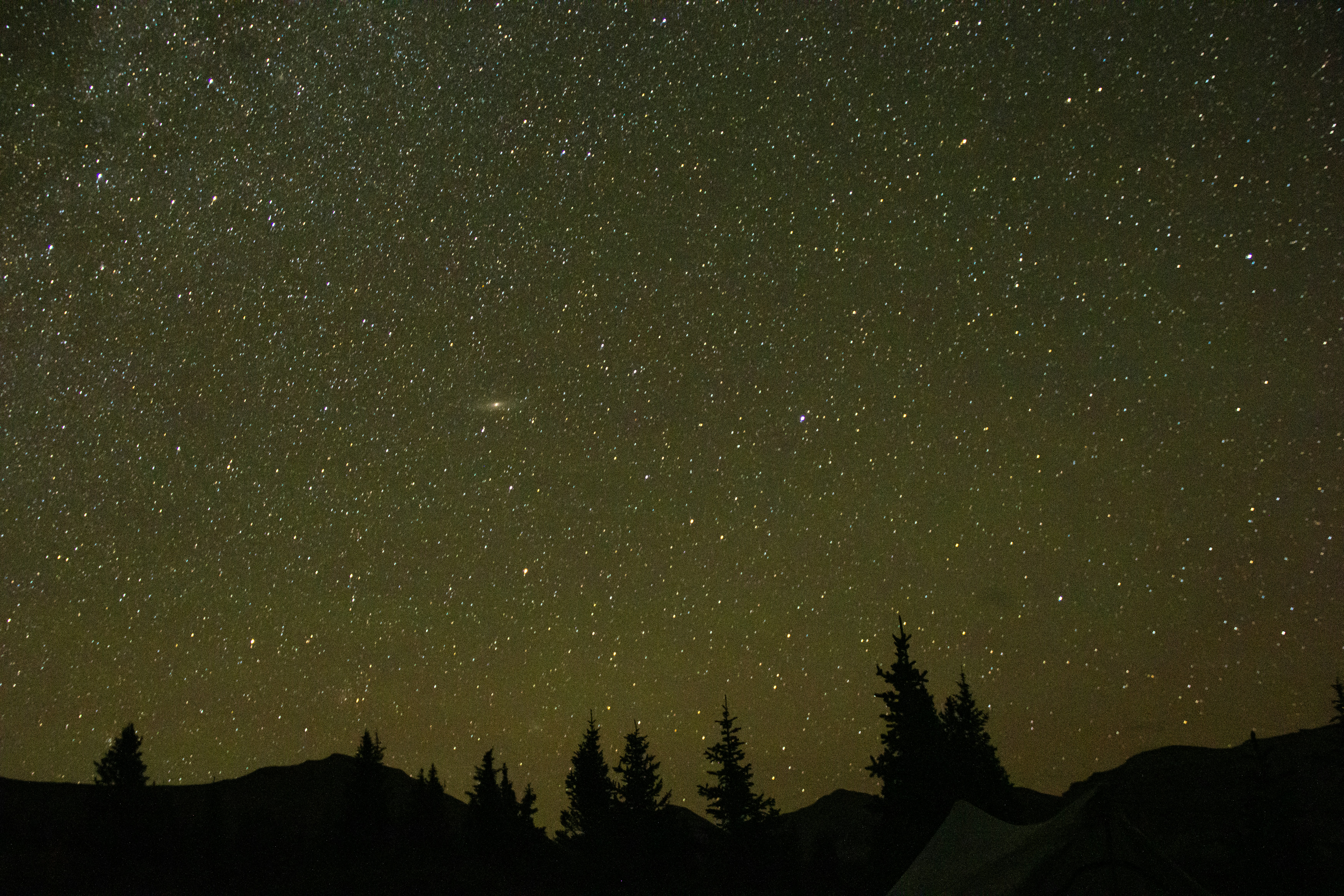 A starry night sky over trees photo – Free Uinta mountains Image on ...