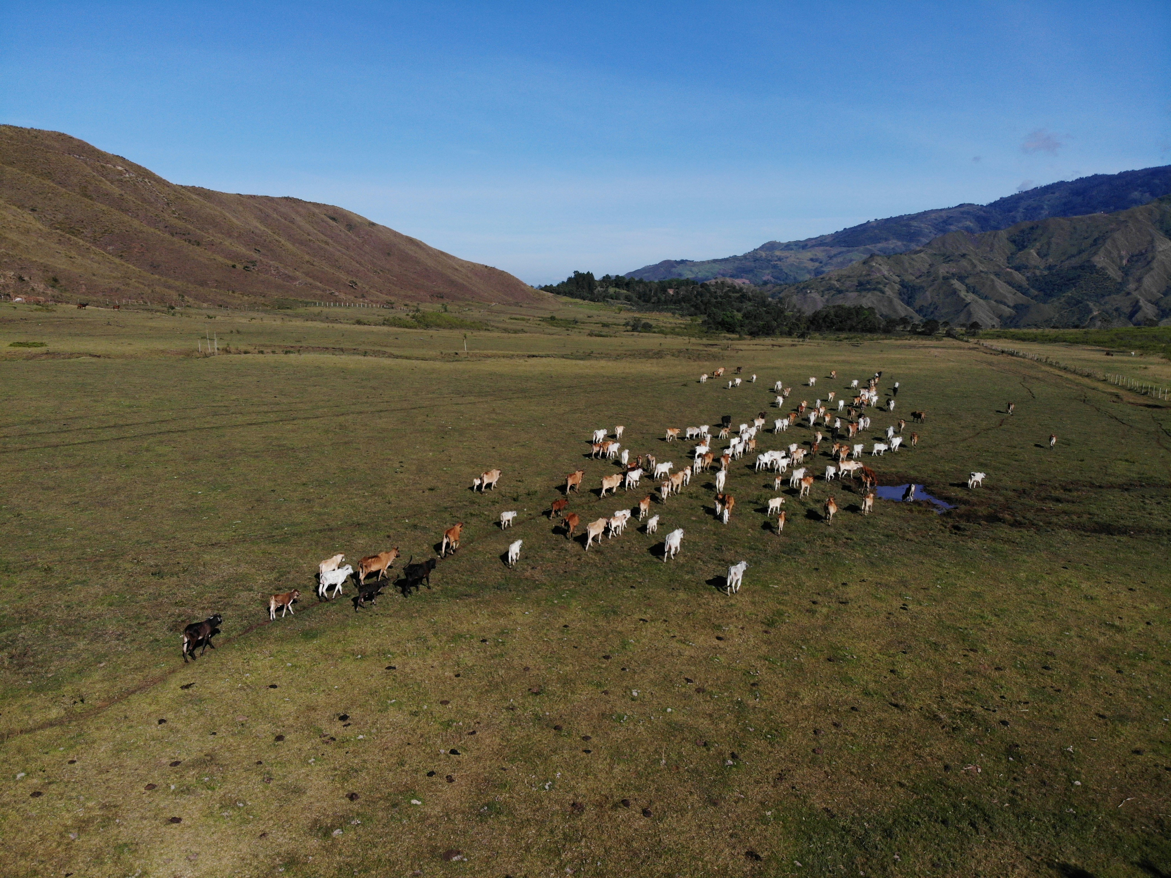 Cattle Ranch Pictures | Download Free Images on Unsplash