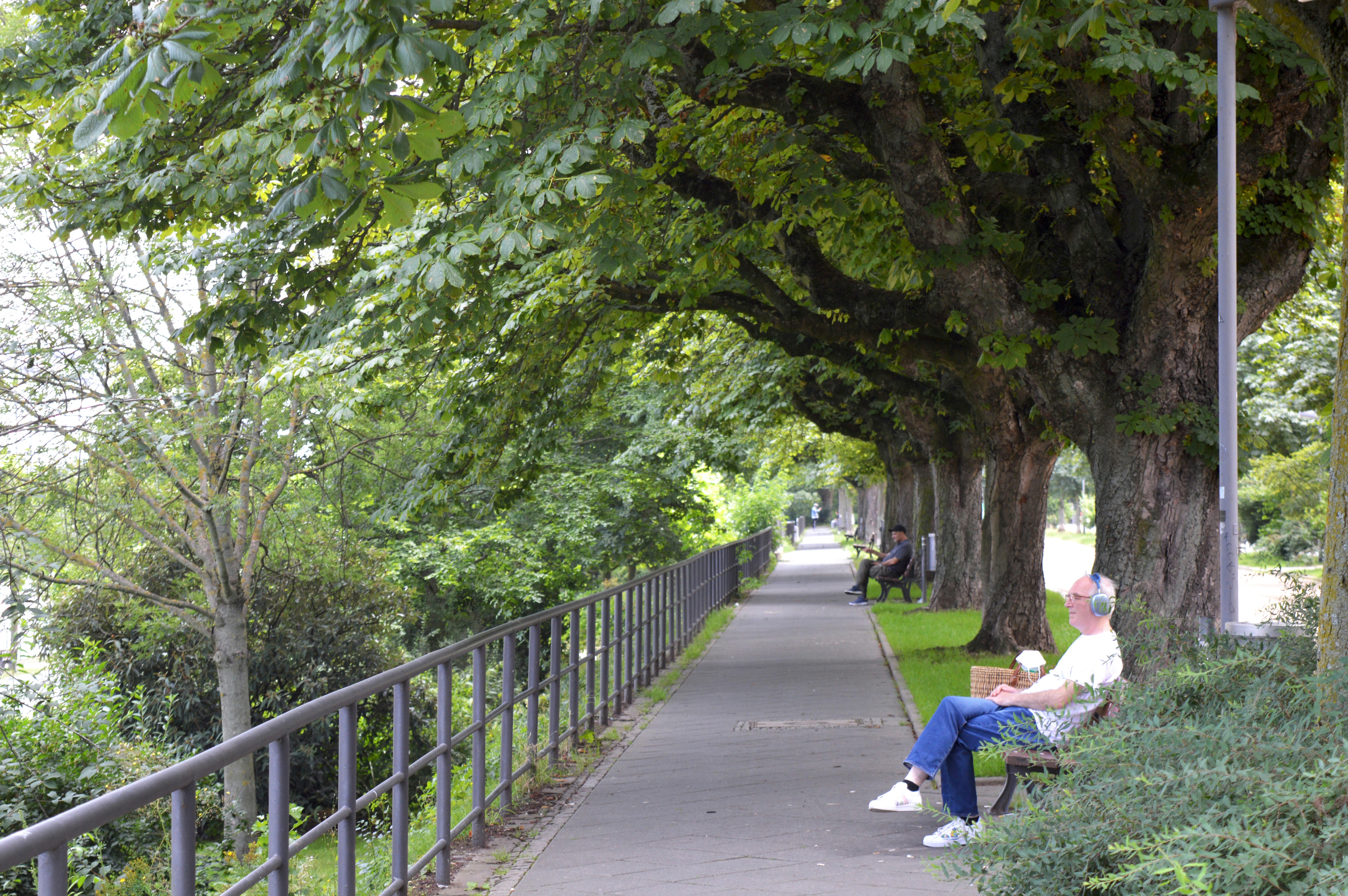 a couple of people sitting on a bench in a park