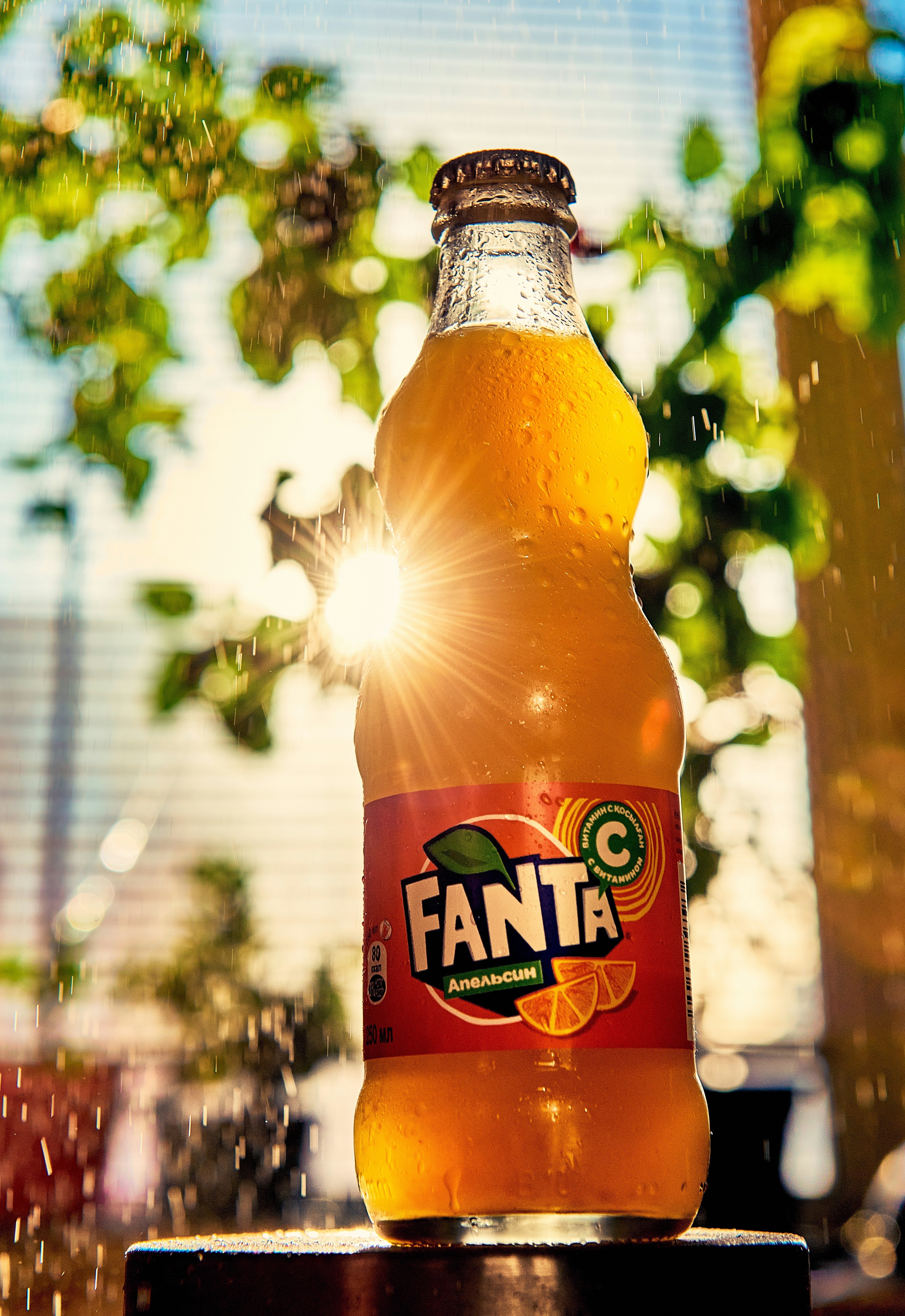 A bottle of beer photo – Free Astana Image on Unsplash