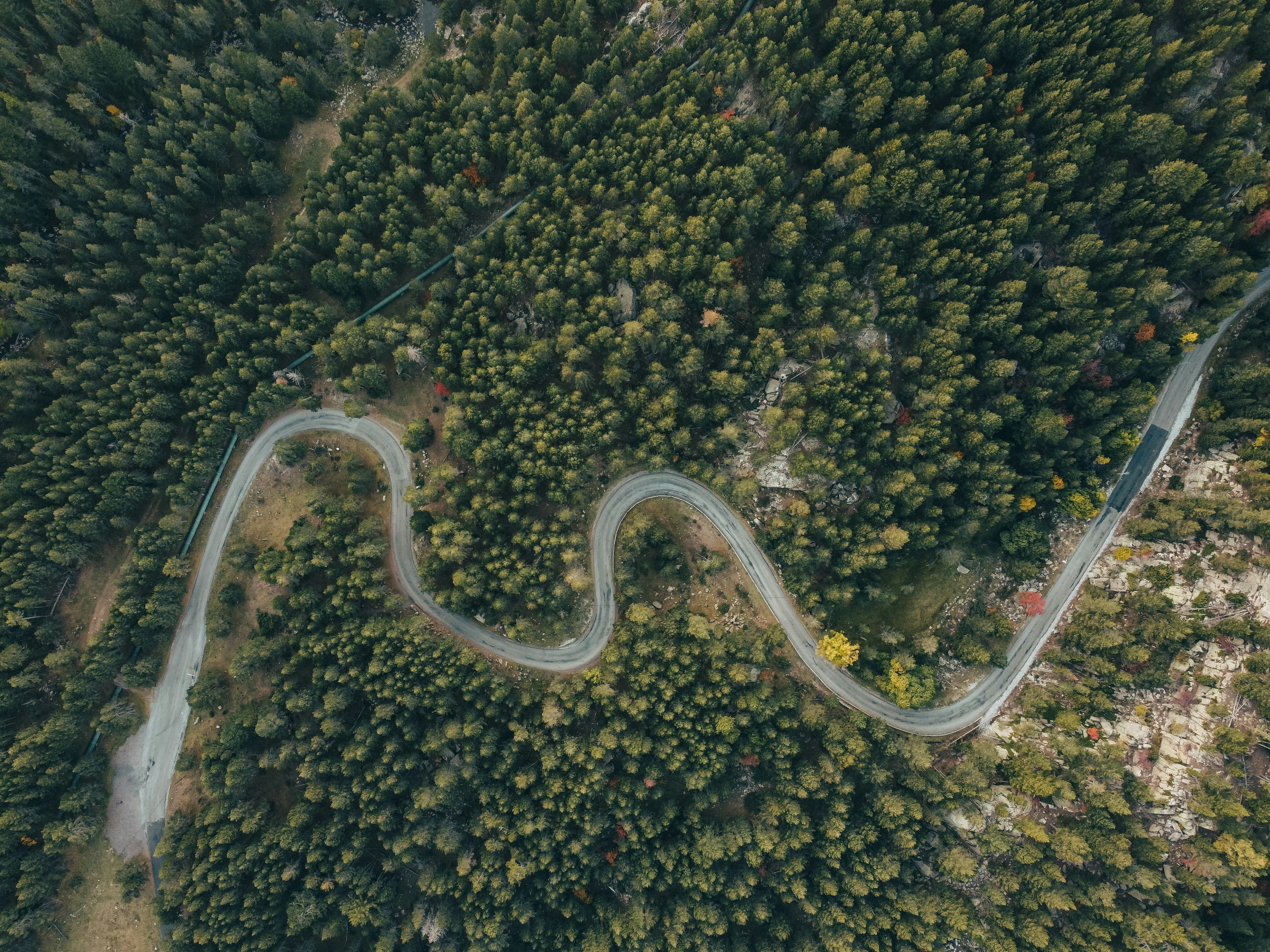 Une route sinueuse à travers une forêt photo – Image gratuite de Drone ...