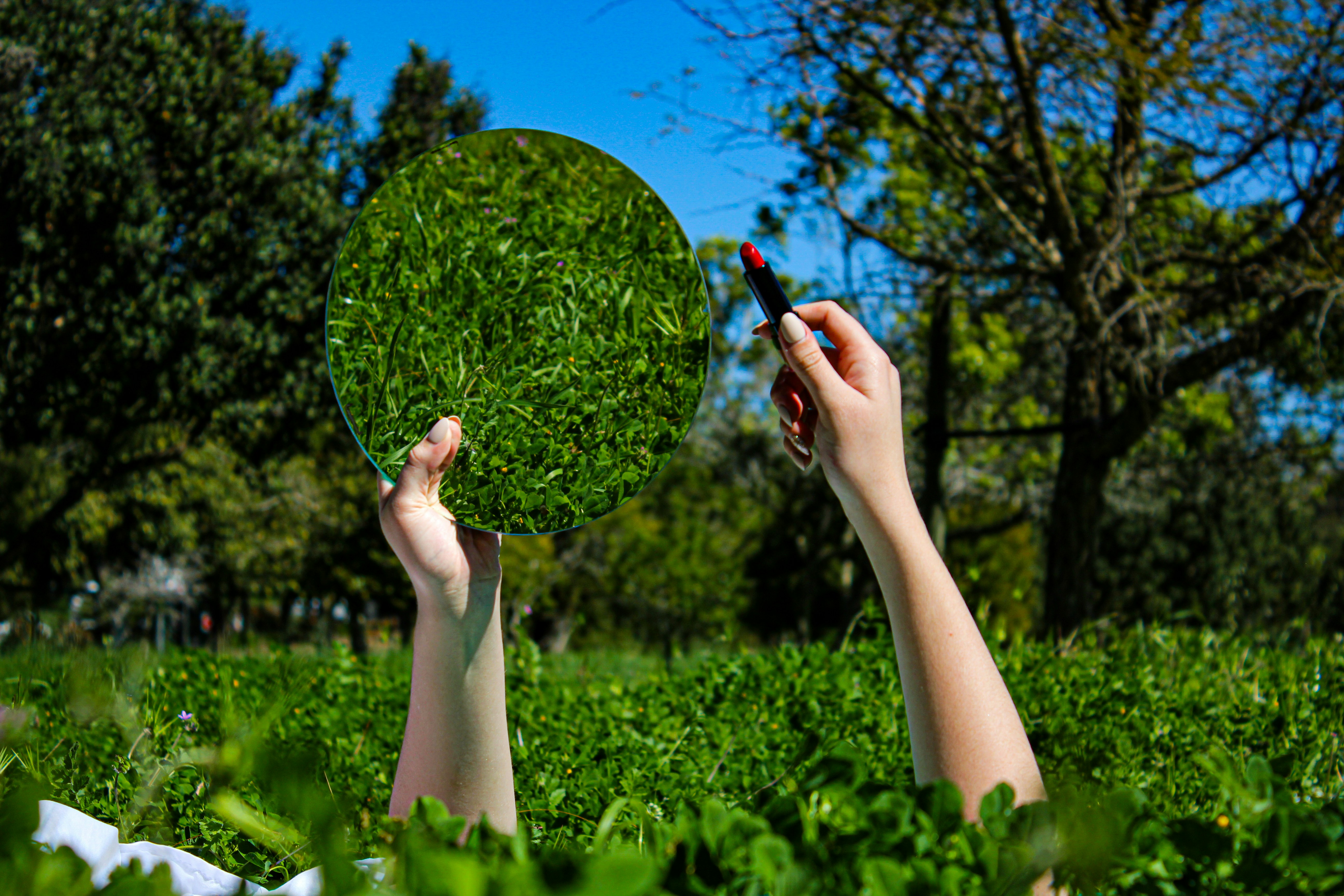 Mirror in the Meadow: Hands Framing a Lush Green Canvas