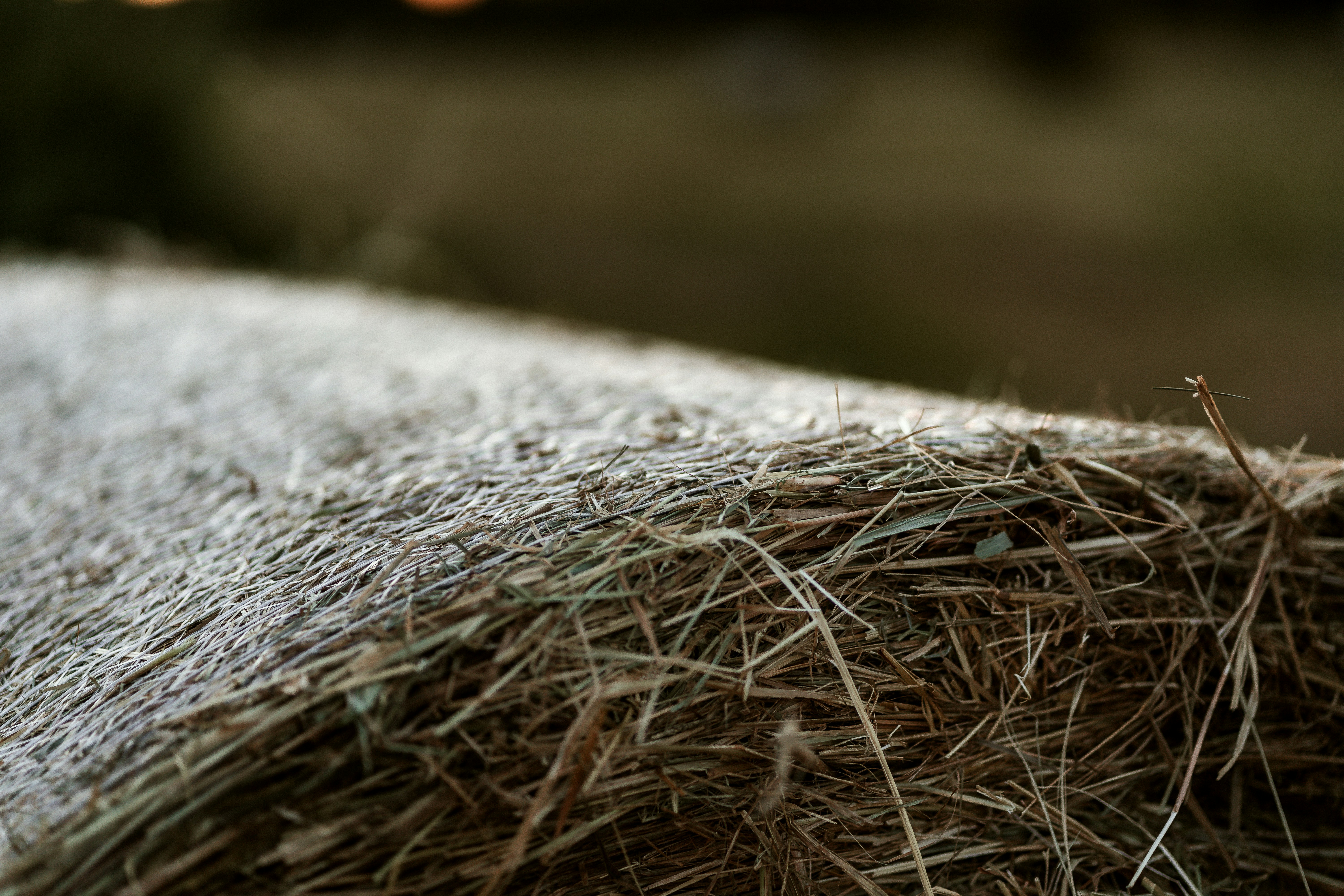 Frost-Coated Straw: Macro Portrait at the Bale's Curve