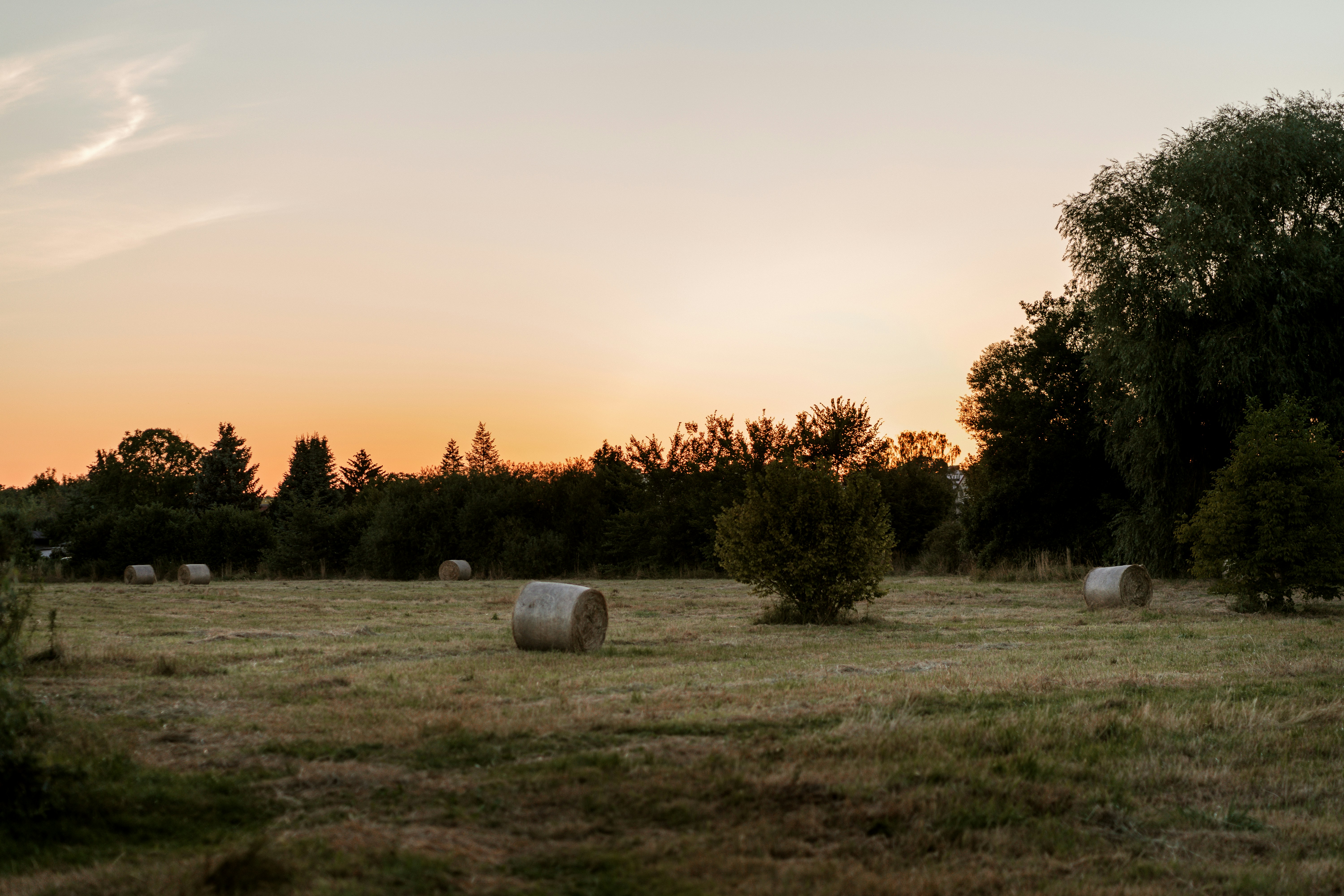 Dusk Over the Hayfield: Round Bales Mark the Quiet Horizon