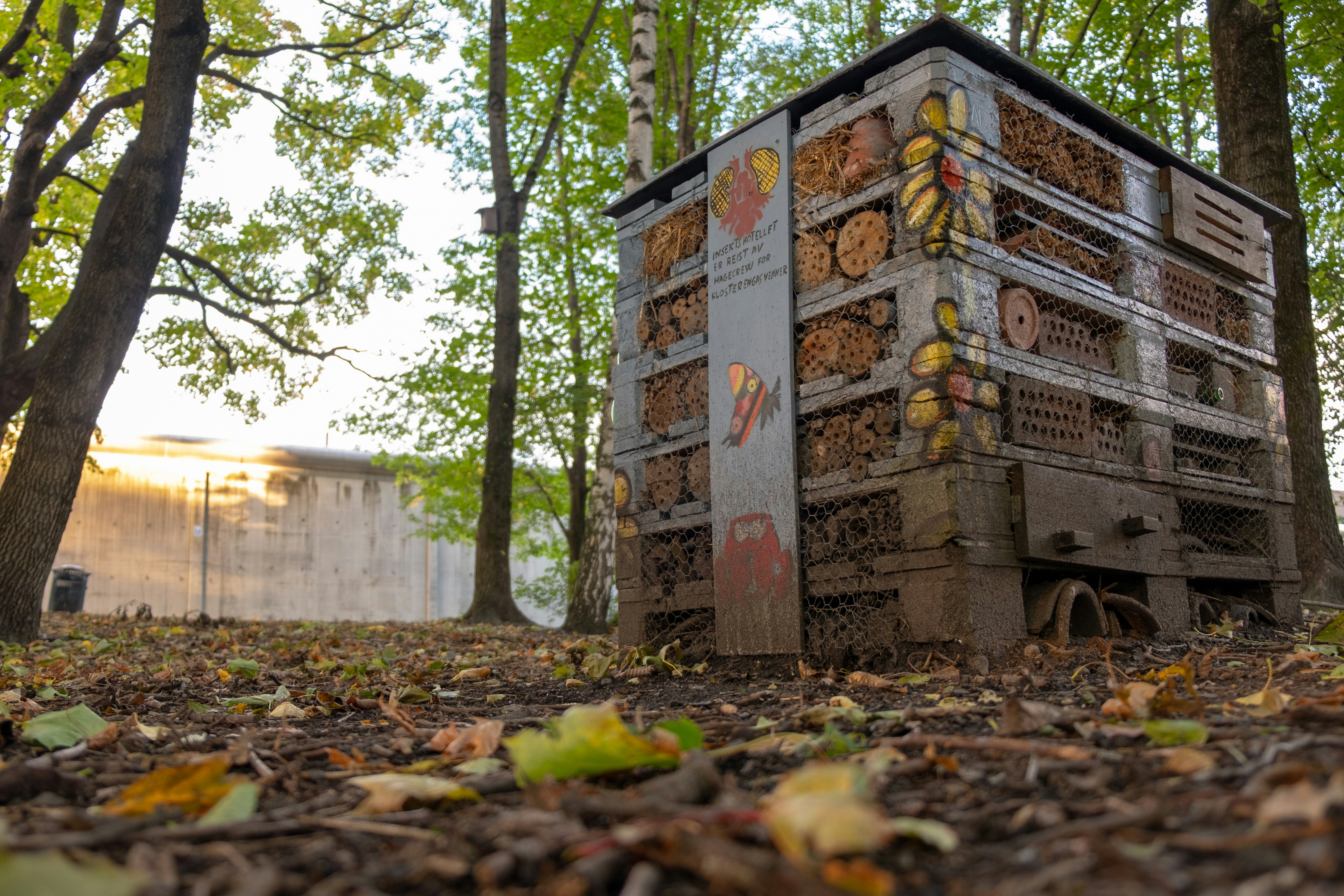 Bee-Hotel in Golden Hour: Weathered Wood Amid Autumn Leaves