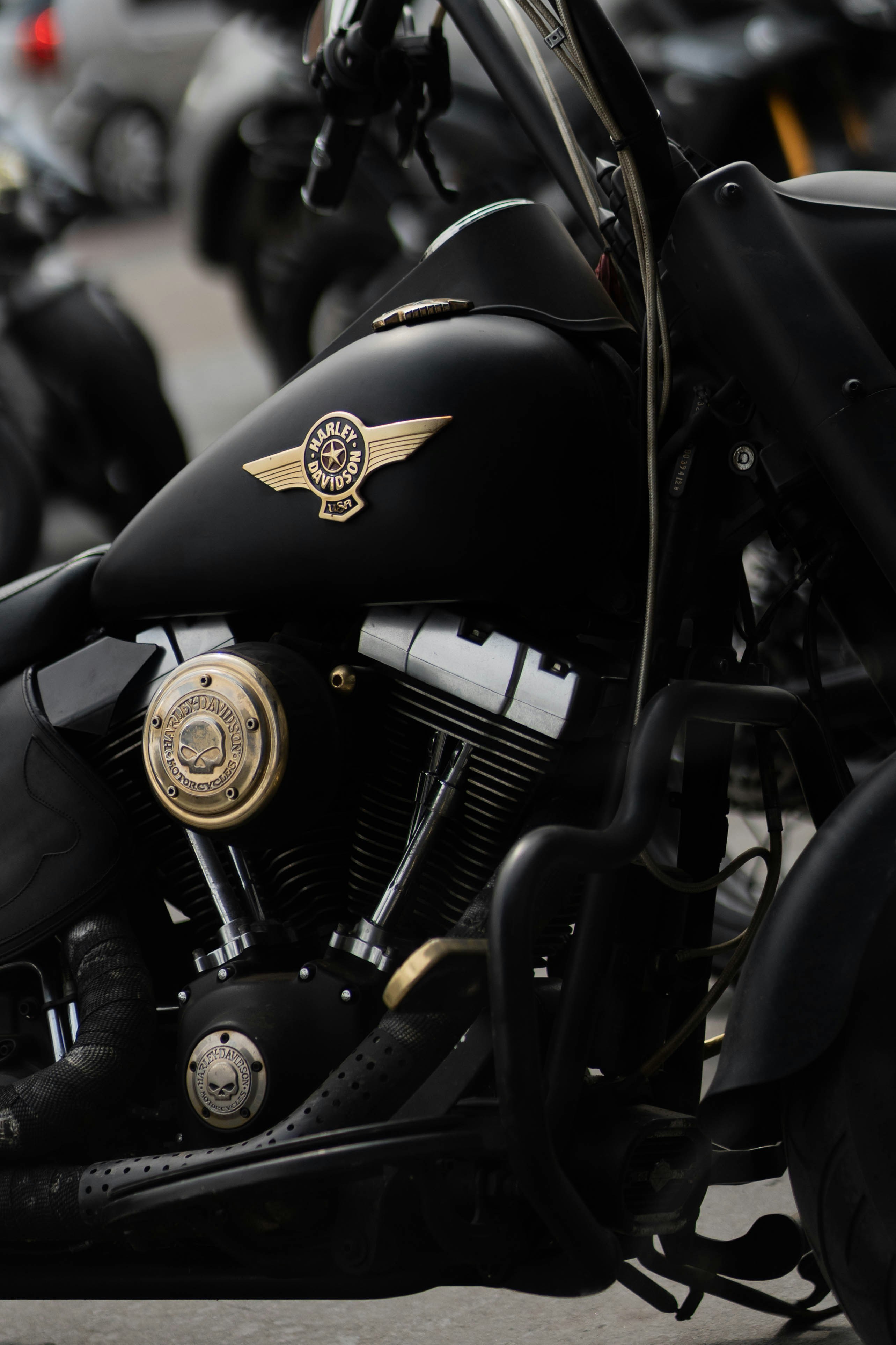 Photo by Rodrigo Rodrigues | WOLF Λ R T with Sony Alpha 7 III