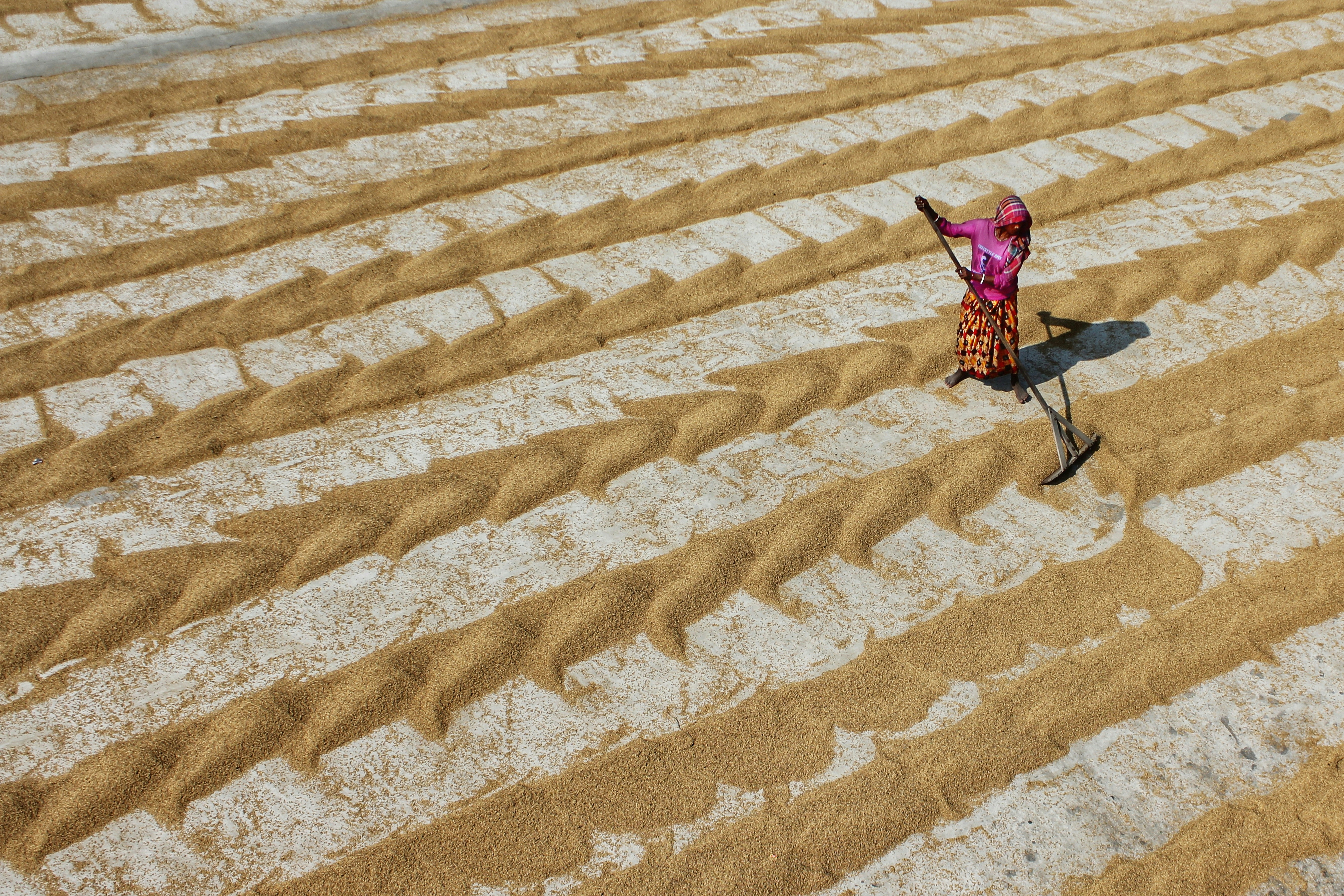 A person walking through a field of sand photo – Free Wallpaper Image ...