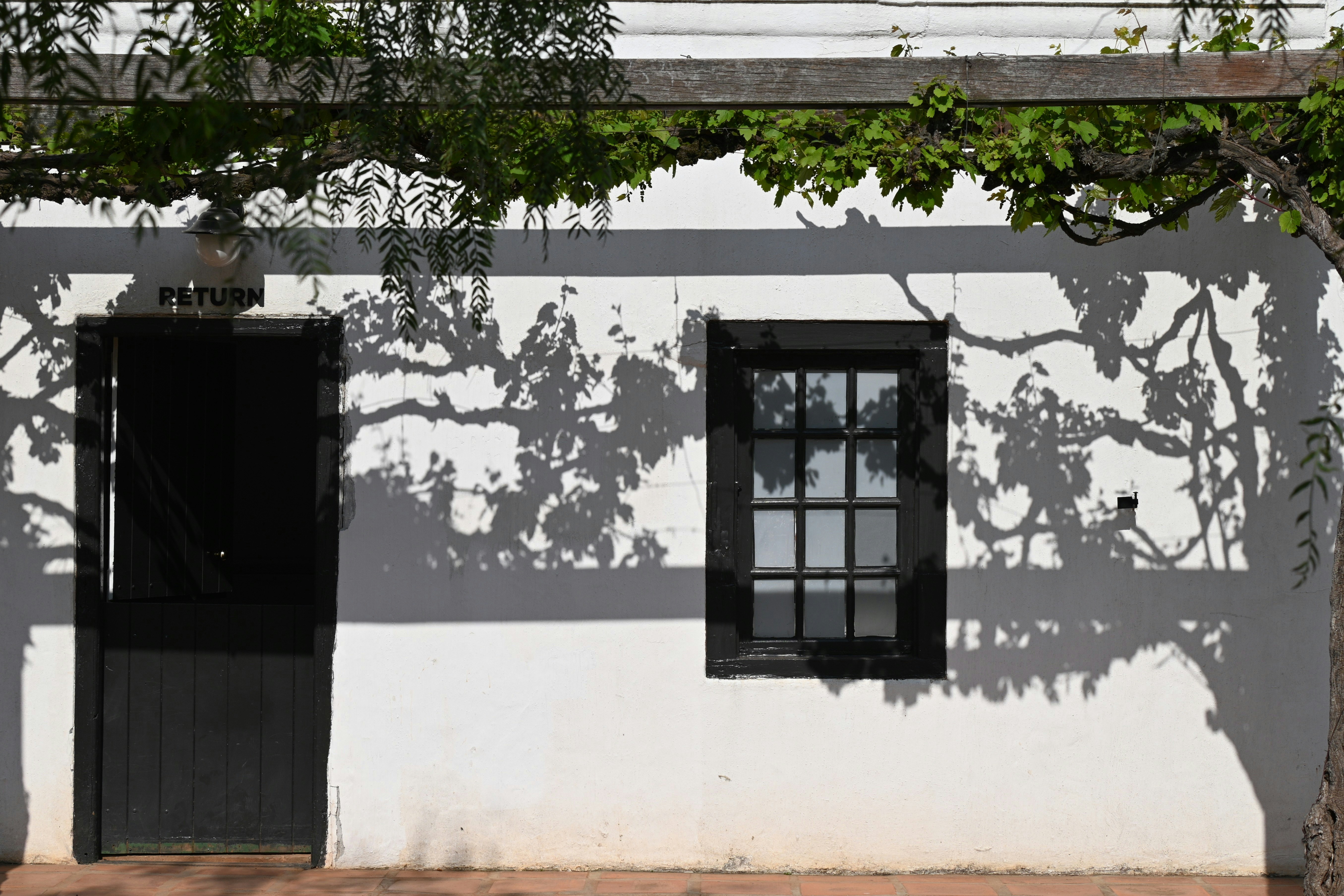 Photo by Tanya Paquet with Nikon Z50