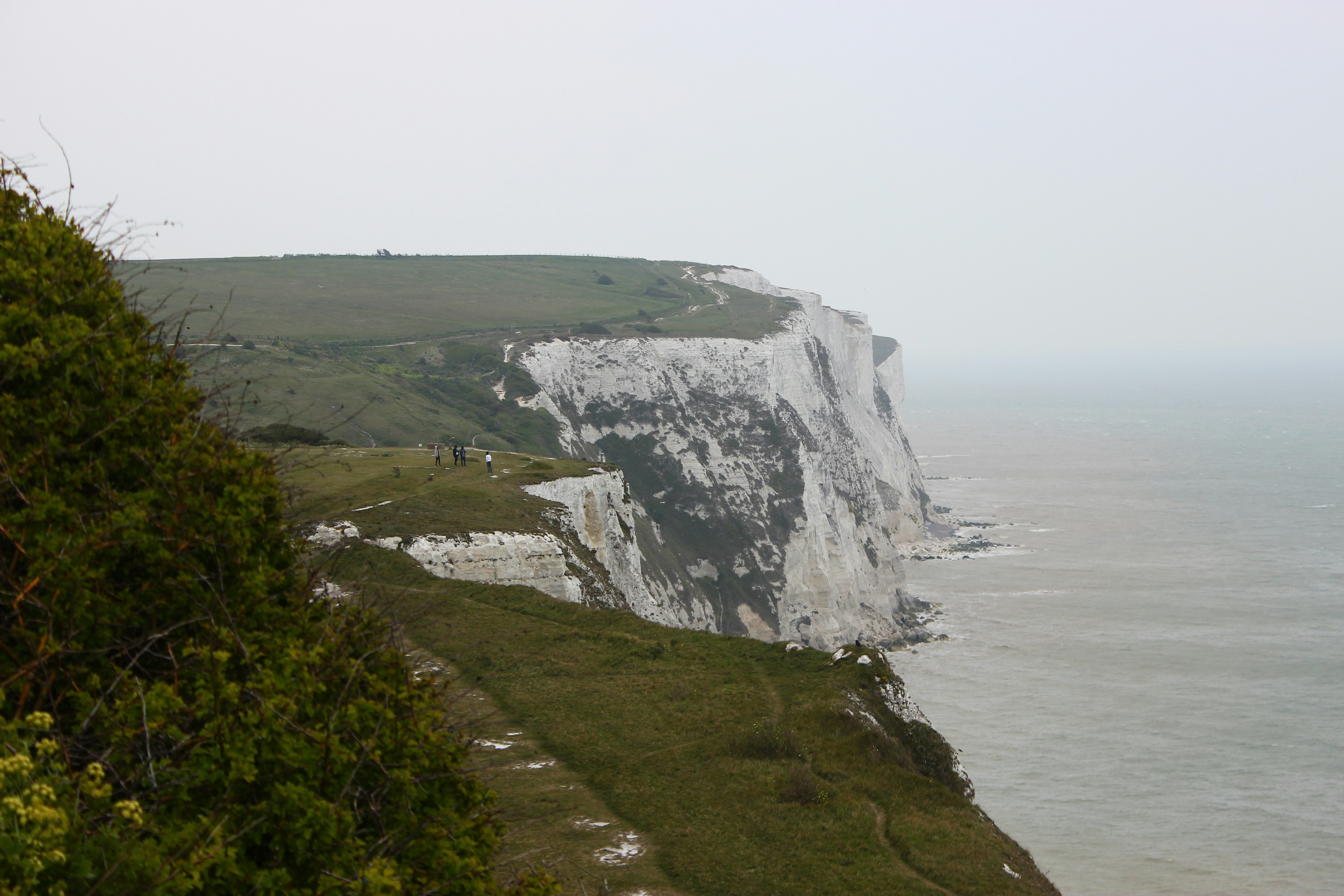 White Cliffs of Dover in Dover, England