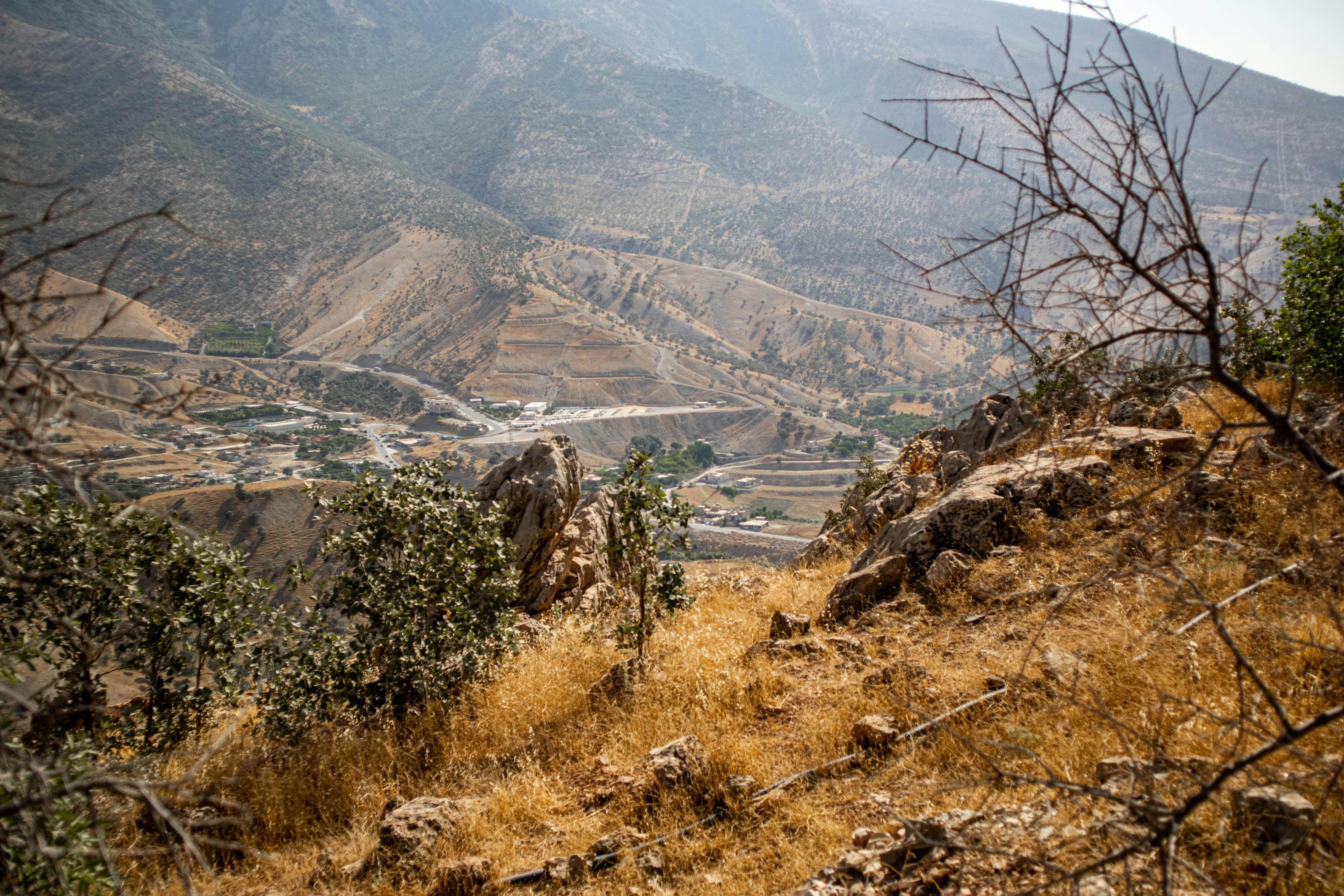 Foto zum Thema Ein Tal mit Bäumen und Hügeln – Kostenloses Bild zu ...