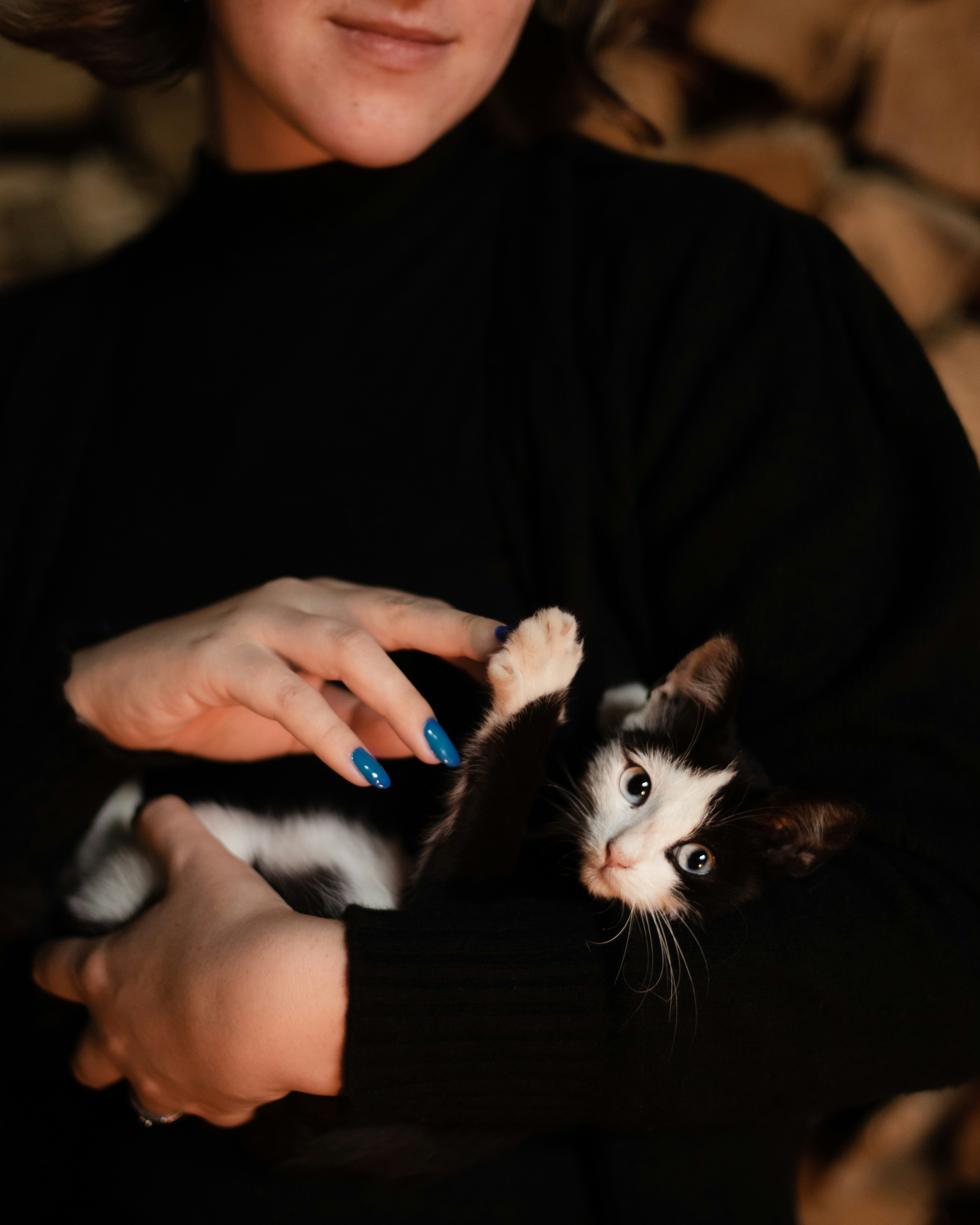 Soft Embrace: A Quiet Moment with a Curious Kitten