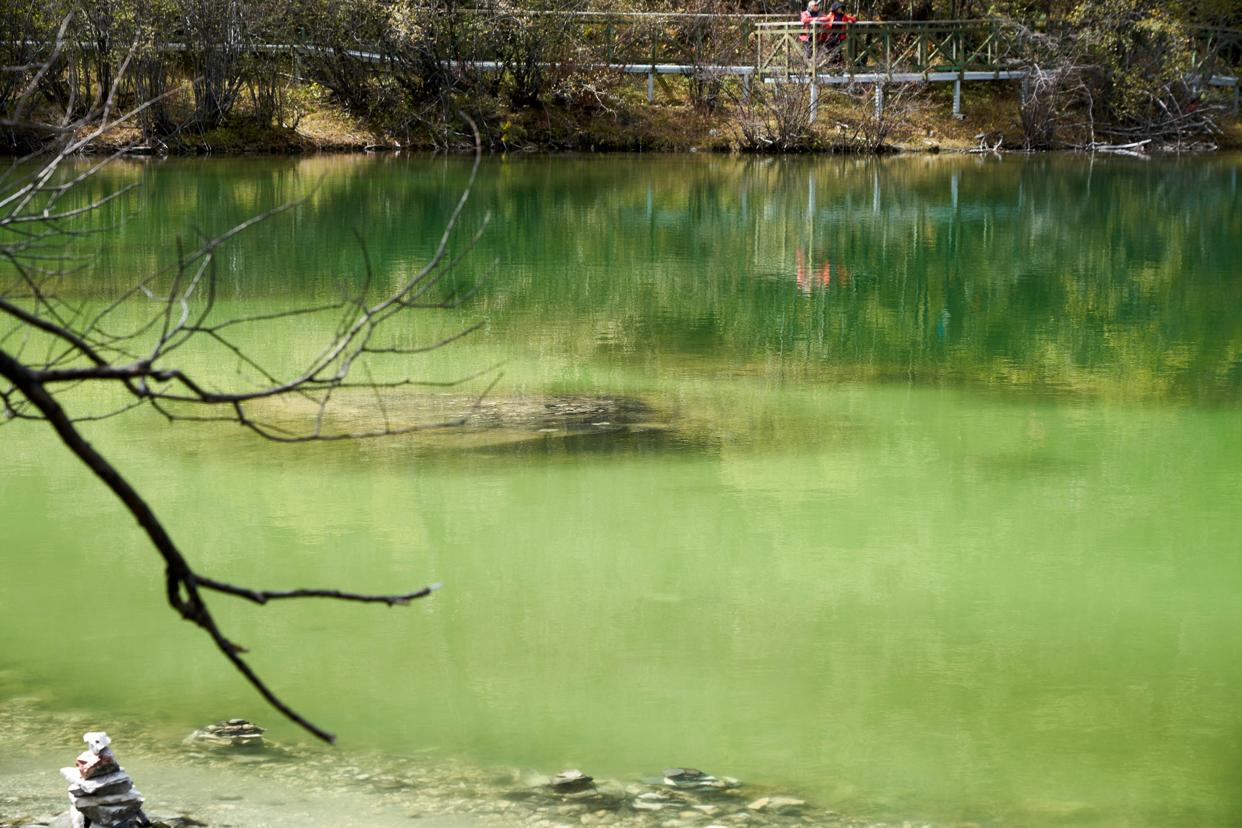 Clear green waters reflecting surrounding foliage, with a stone stack in the foreground. The serene atmosphere invites contemplation.