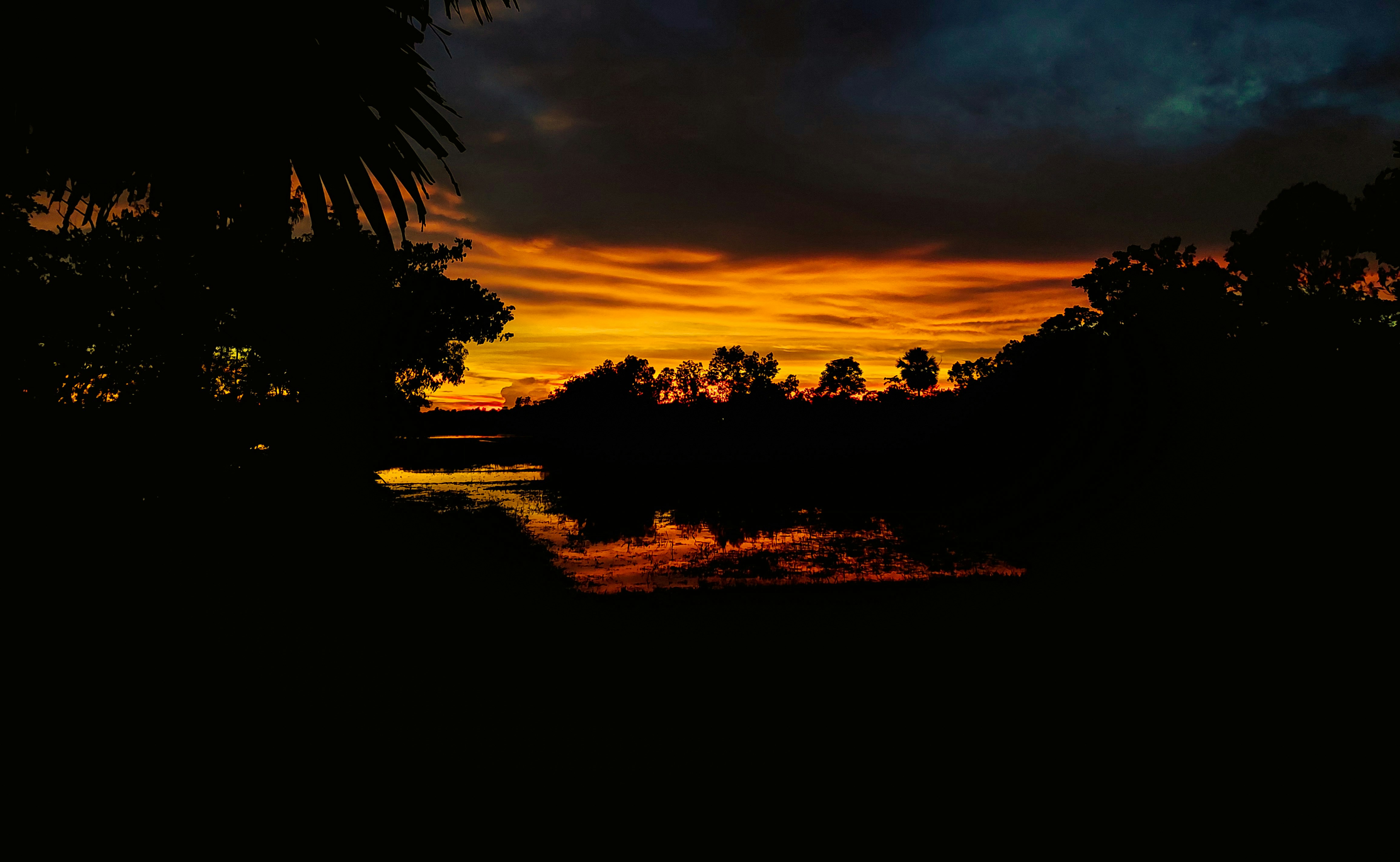 A sunset over a forest photo – Free Nature Image on Unsplash