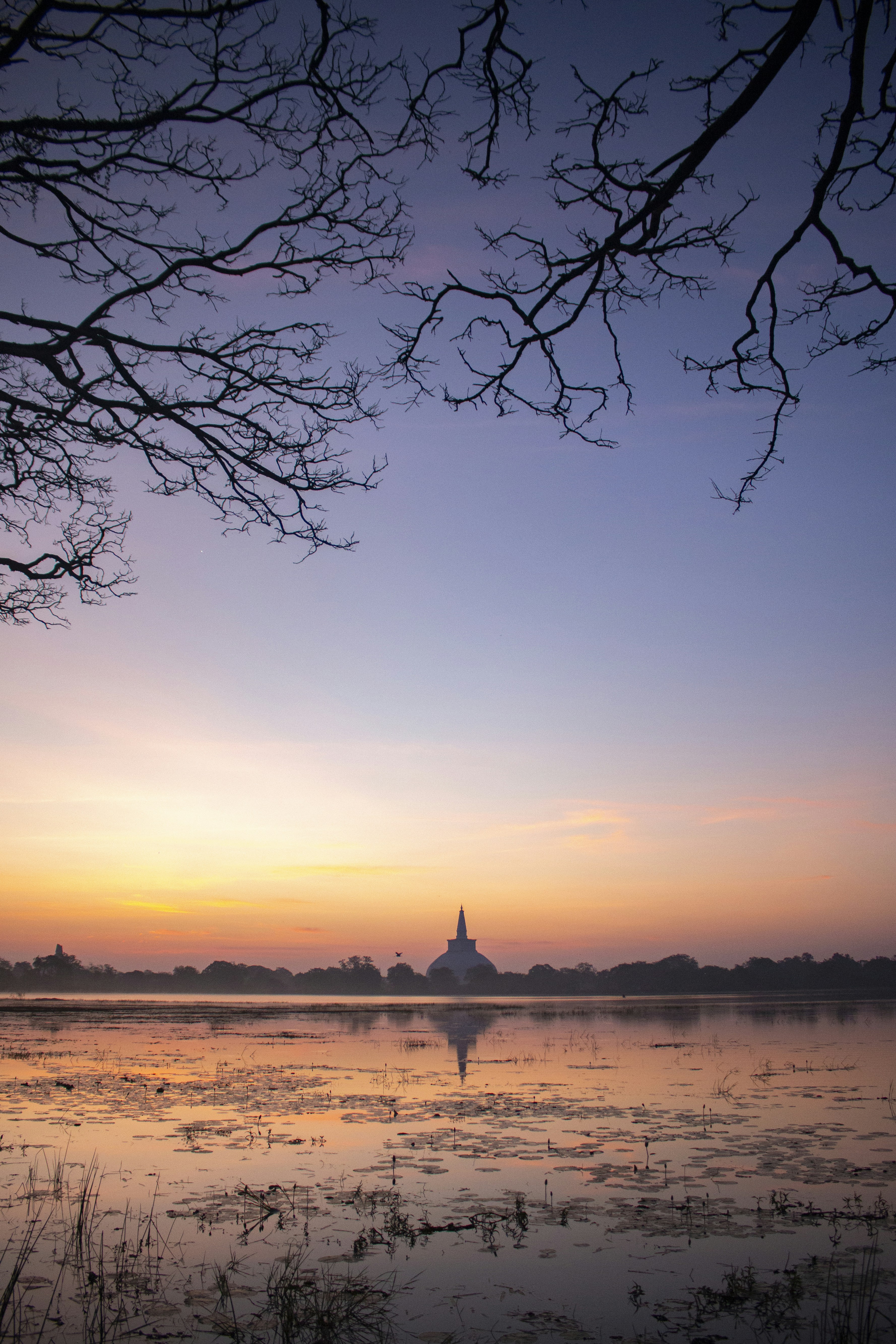 Deegawapi Maha Seya Photos | Télécharger des images gratuites sur Unsplash