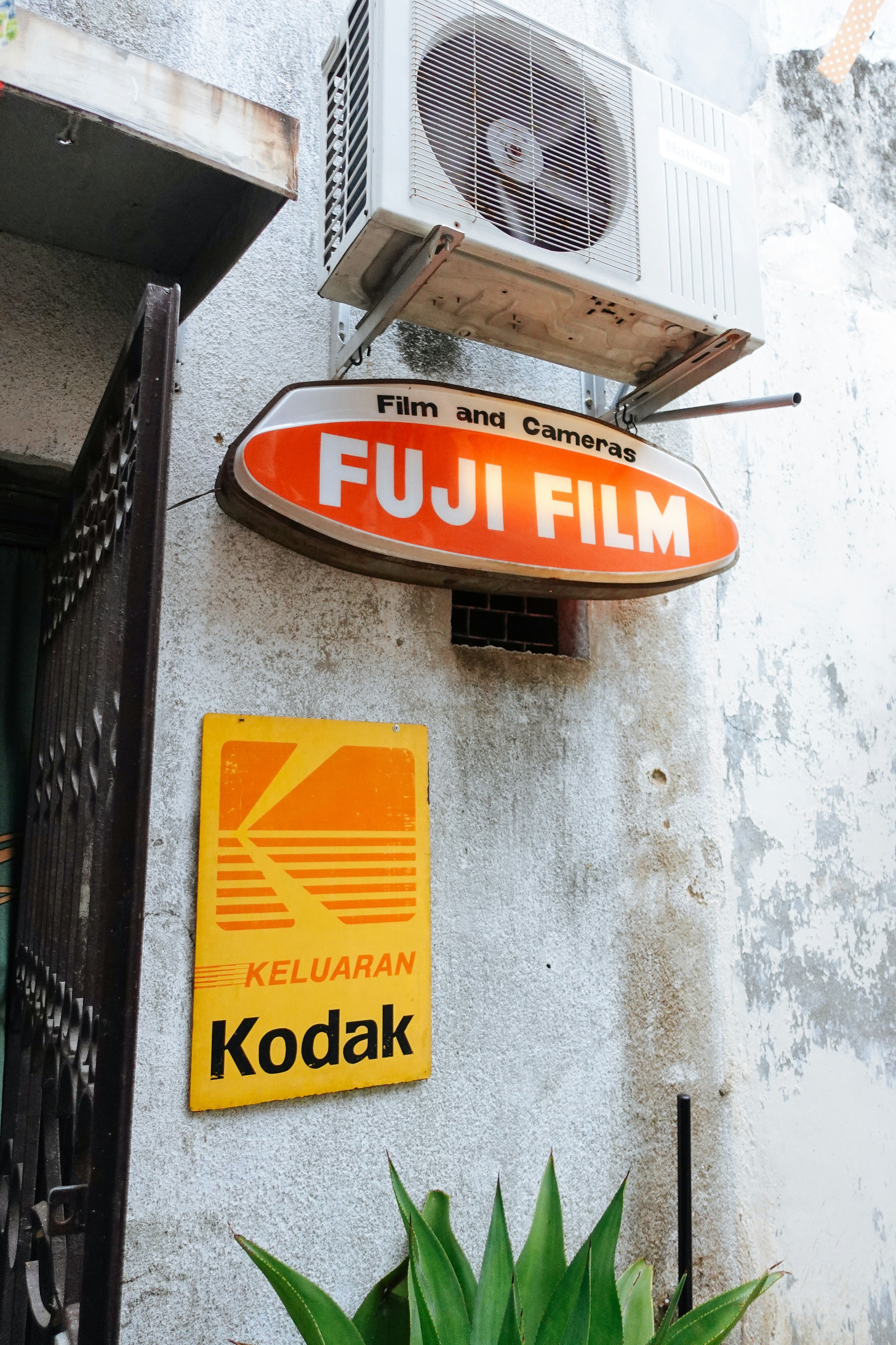 Vintage signage for Fuji Film and Kodak displayed on a weathered wall, evoking memories of classic photography. Green plants add a touch of life to the scene.