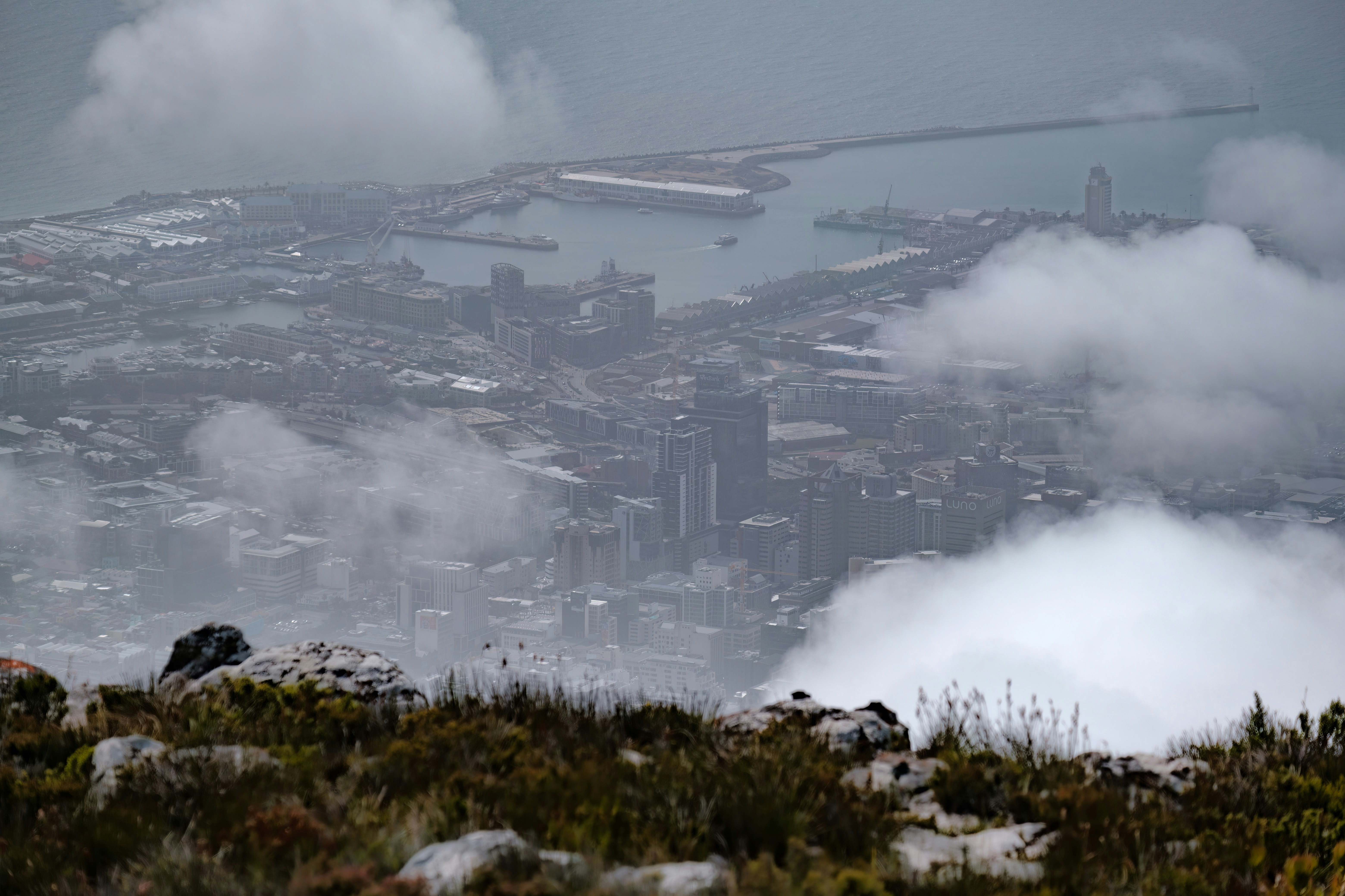 Misty Crest: A City Emerges Through the Harbor Veil