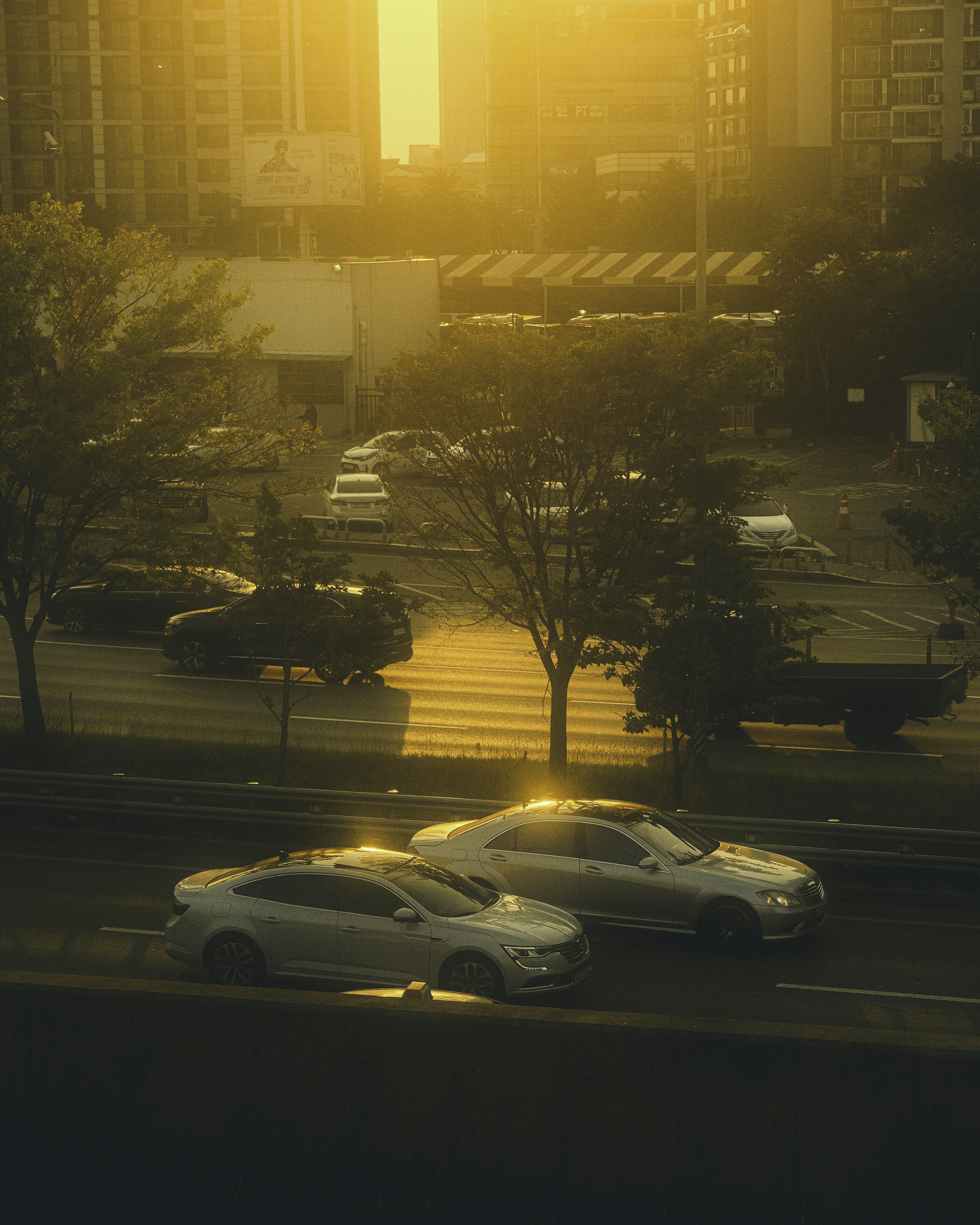 Golden Hour on the Boulevard: Two Sedans in Sunlit Traffic