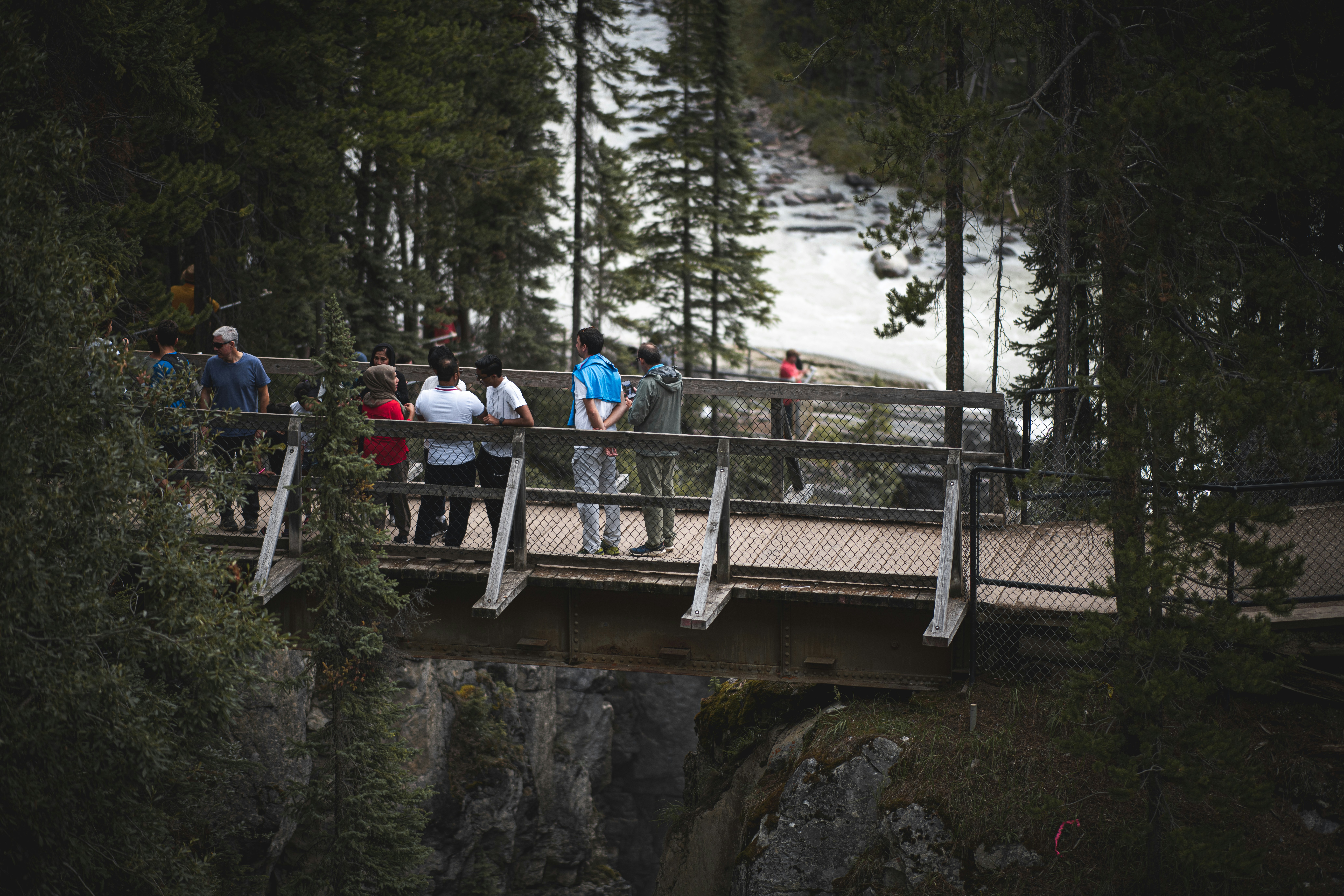 A group of people on a bridge over a river photo – Free Bc Image on ...