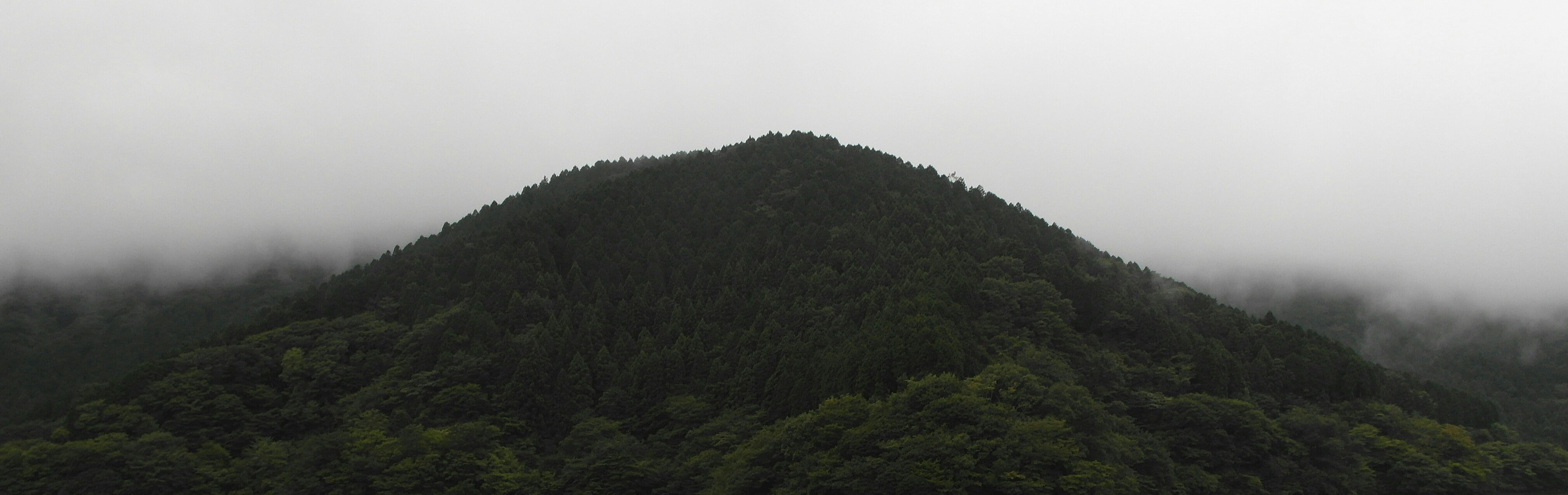 Mist-Wreathed Crest Over a Quiet Mountain Forest