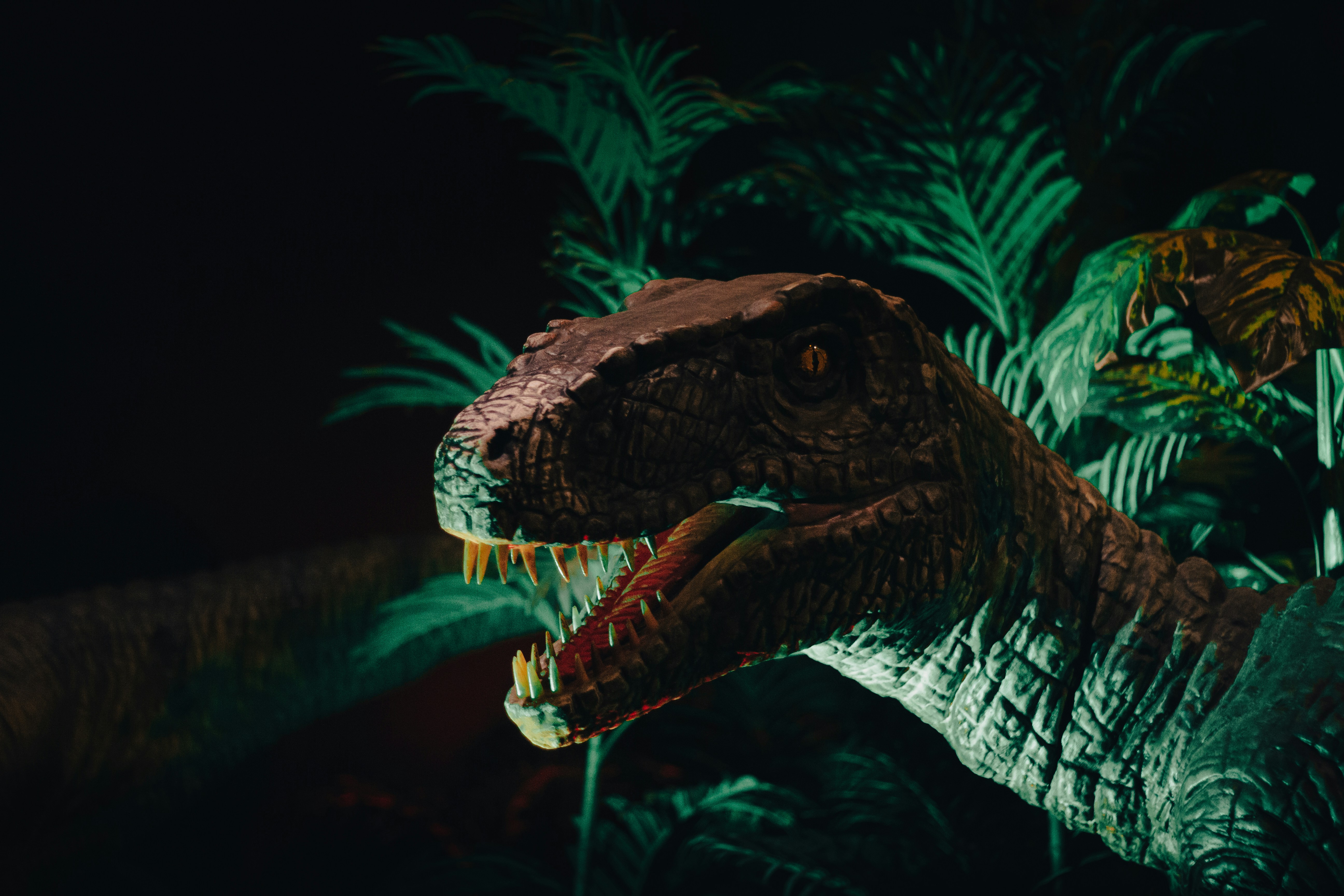 What Do I Put In A Enclosure T Rex In Minecraft Creative Mode Pictures ...