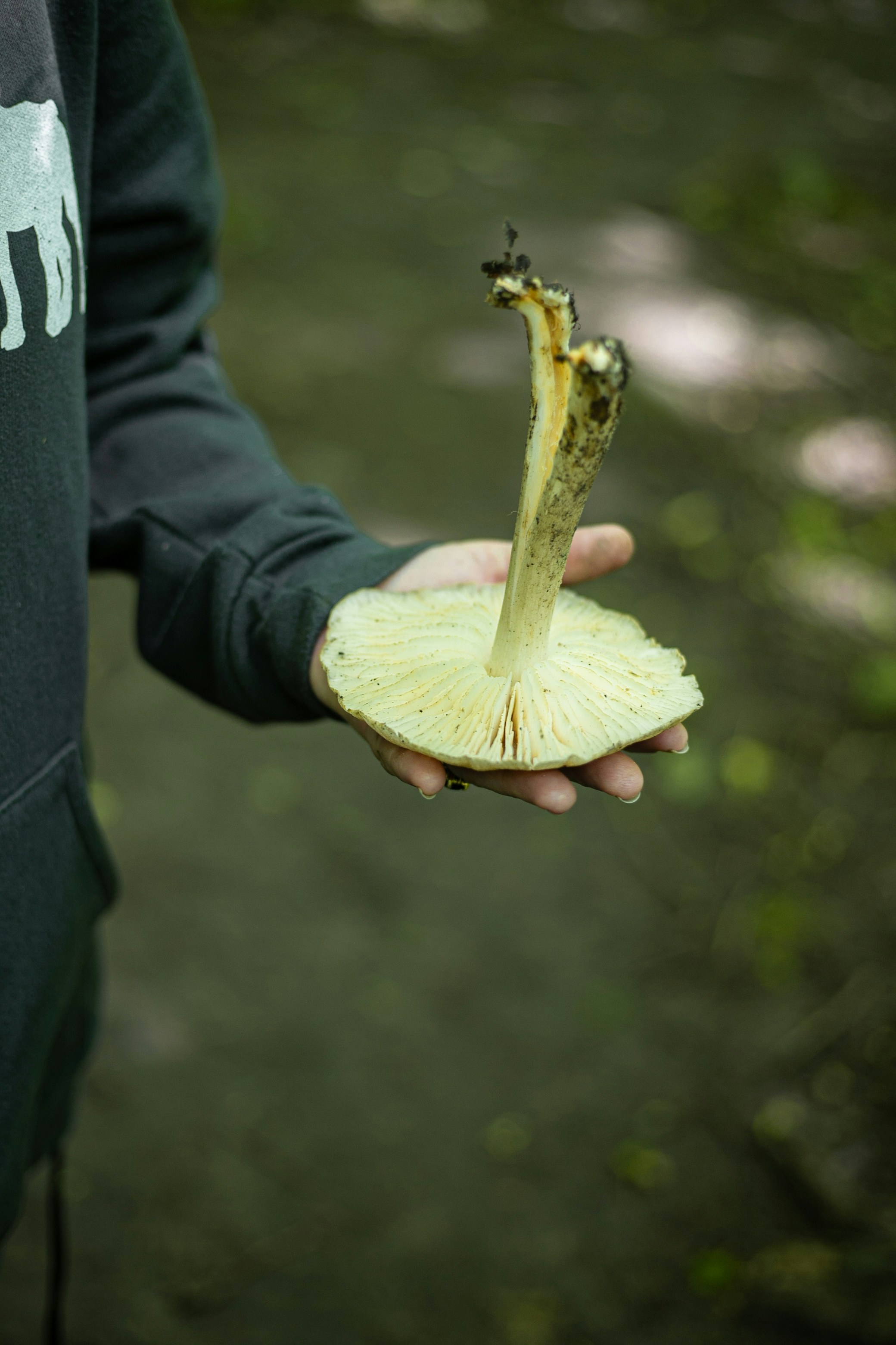 Photo by Fran Pa with Canon EOS 6D Mark II