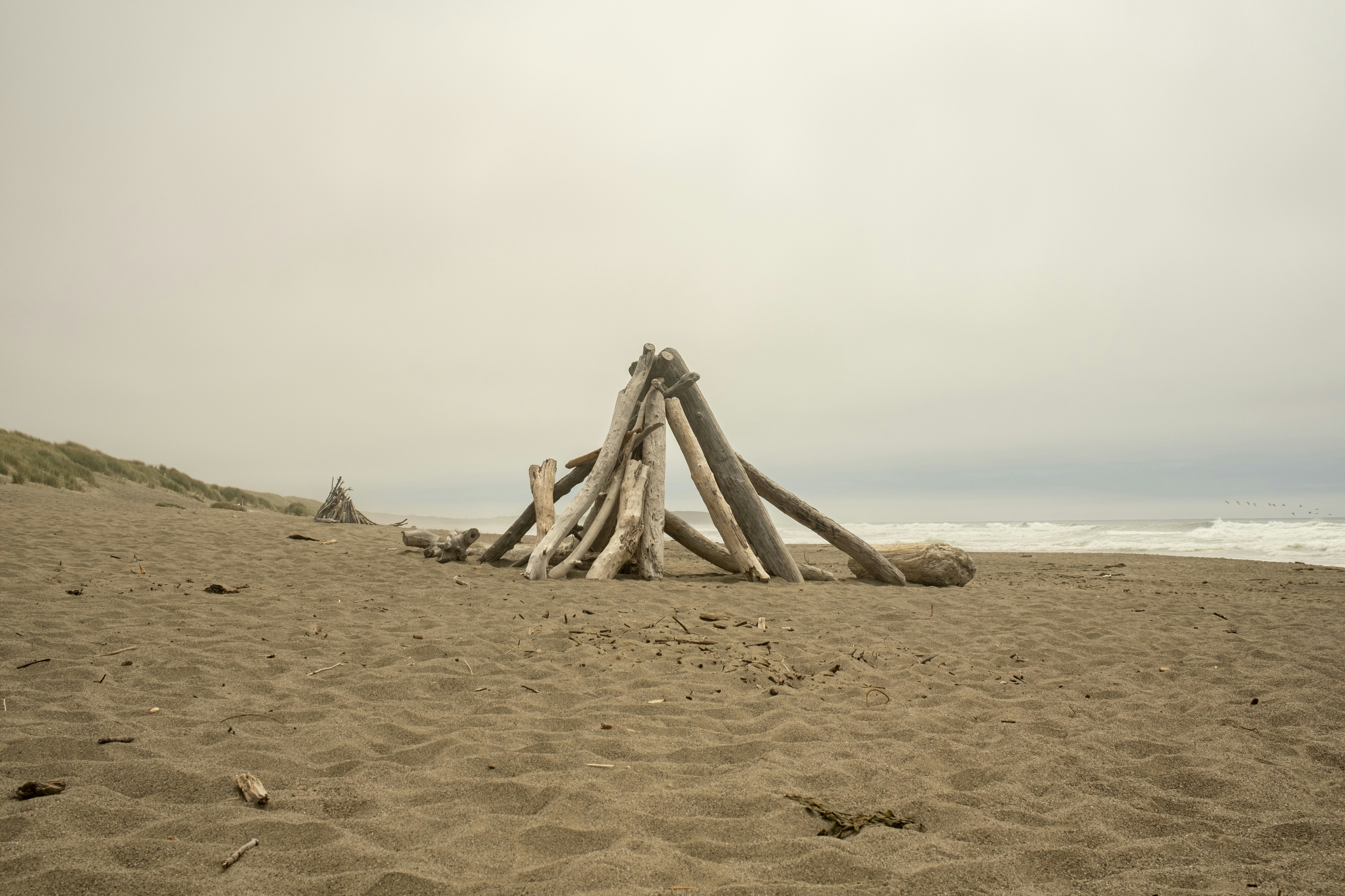 a group of driftwood on a beach