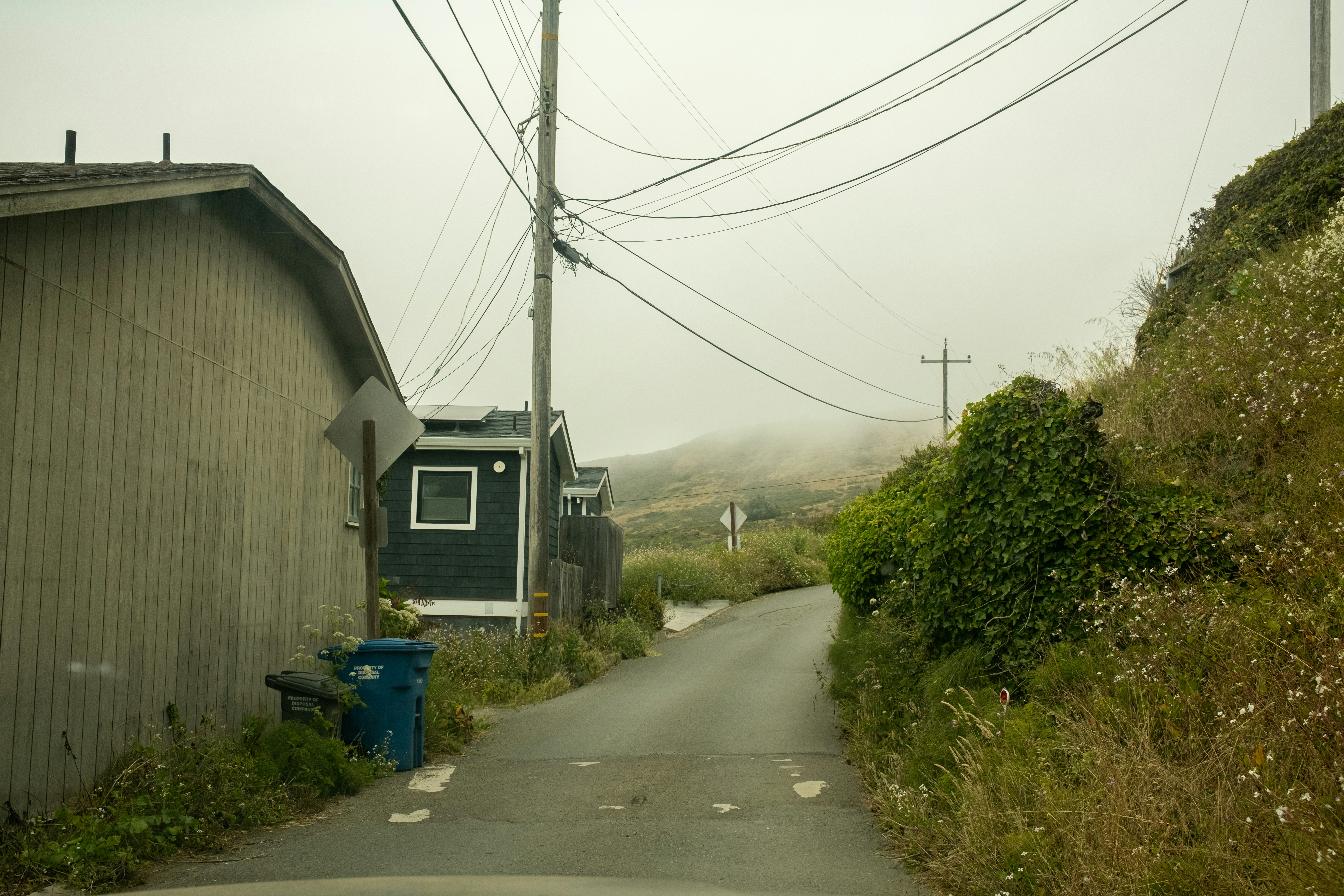 Photo by Megan O'Hanlon with Fujifilm X100V