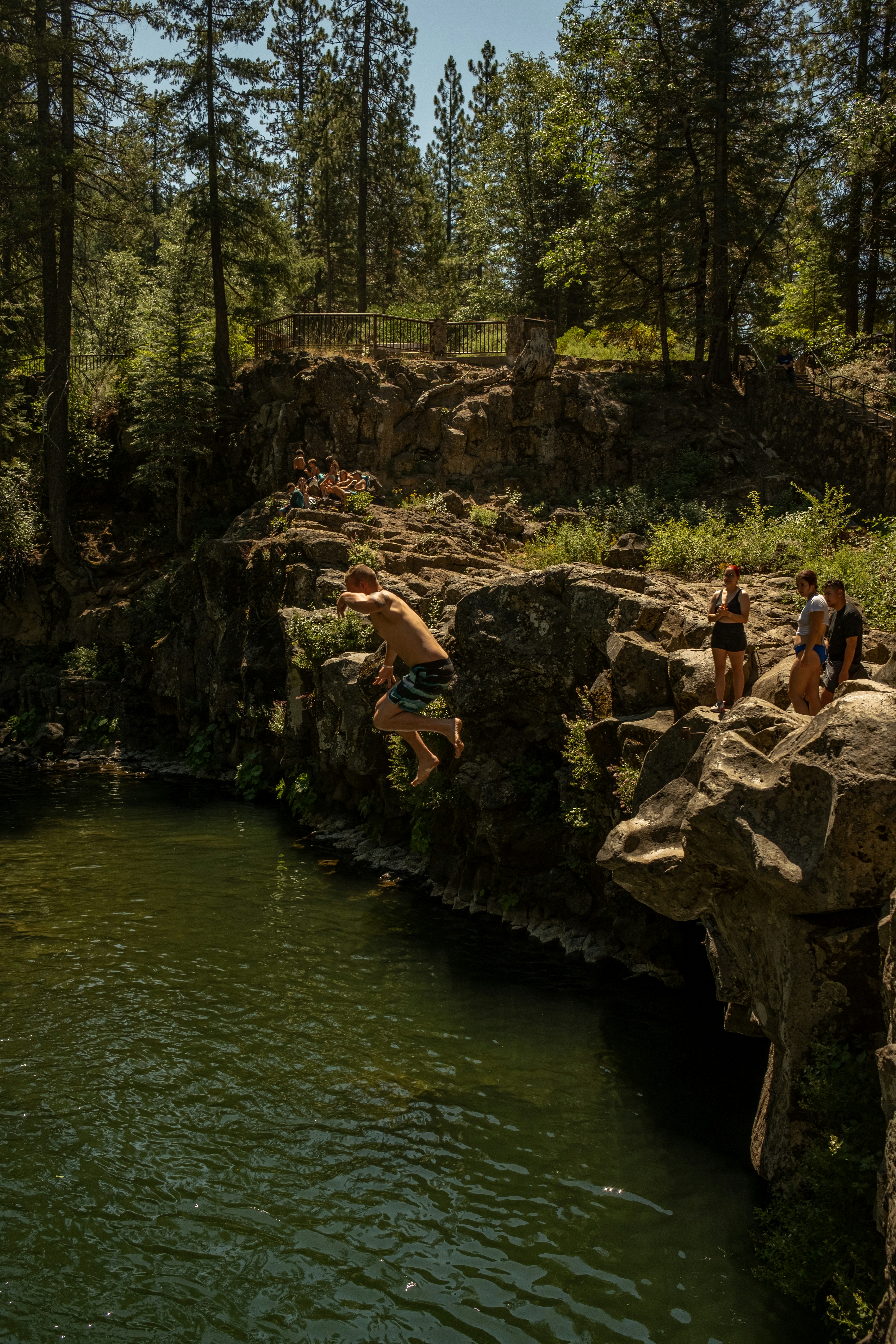 Leap of Summer: A Cliff Jump Amid Pine Shaded Echoes
