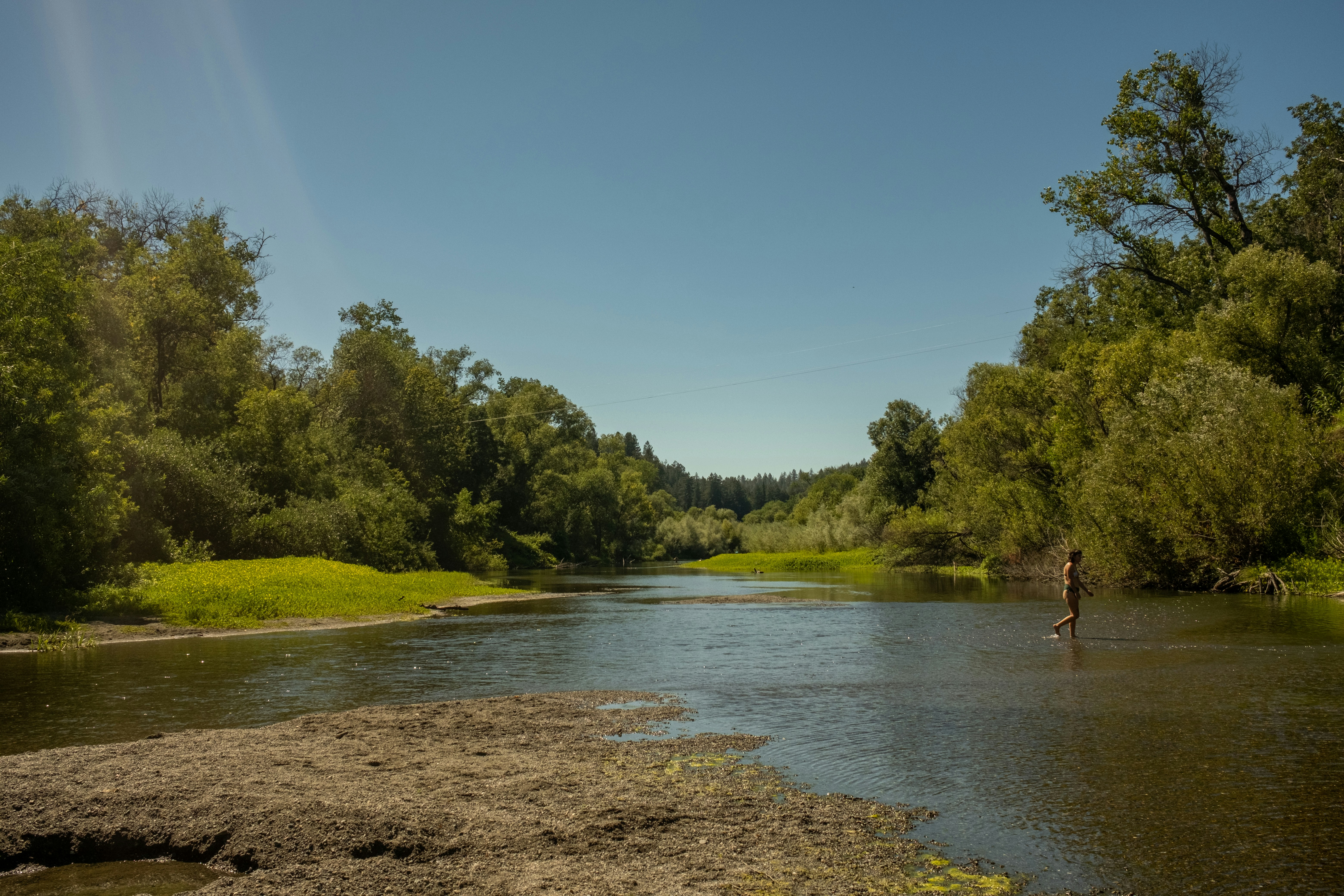 River Walk: A lone angler in a sunlit bend