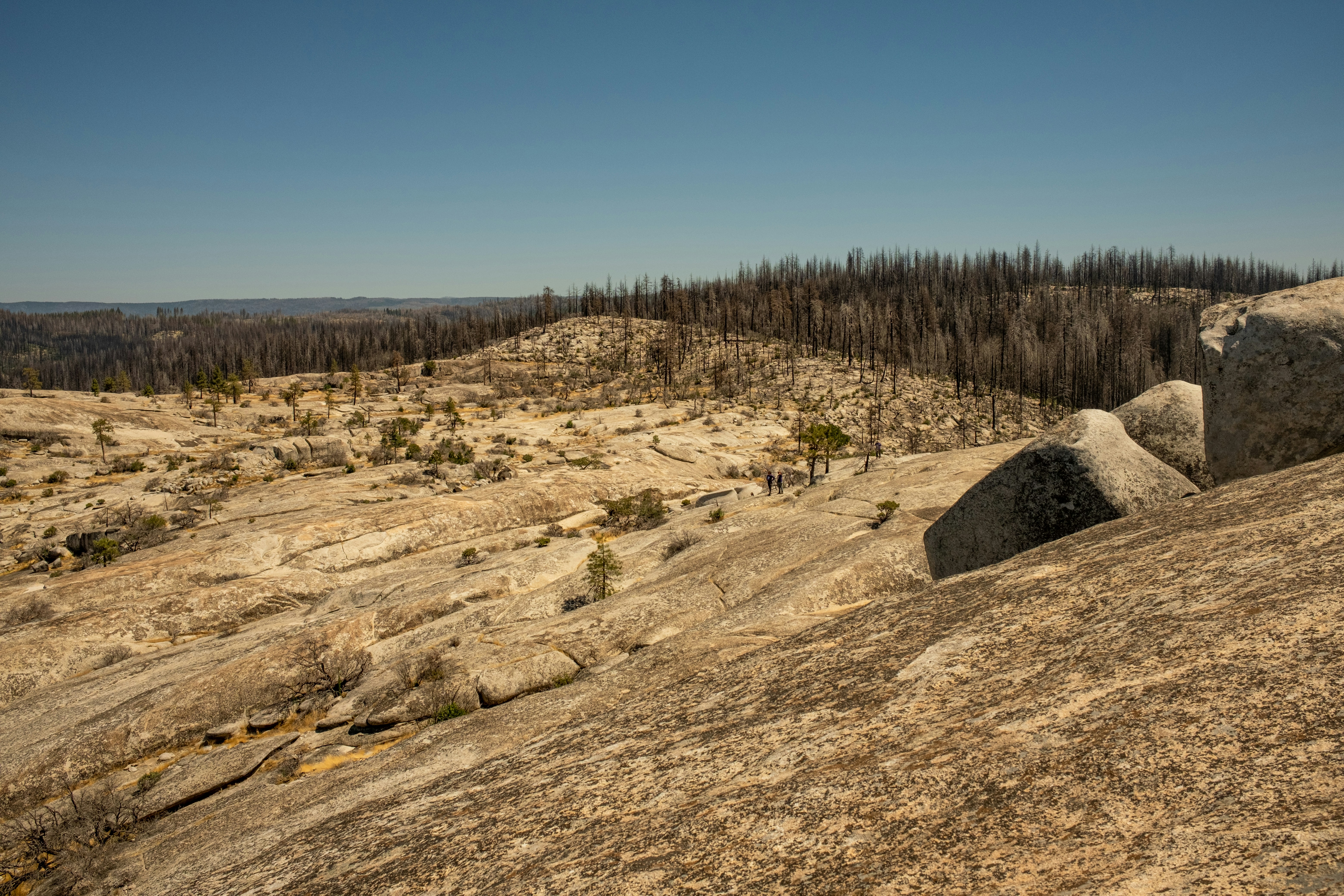 A landscape with rocks and trees photo – Free Bald rock Image on Unsplash