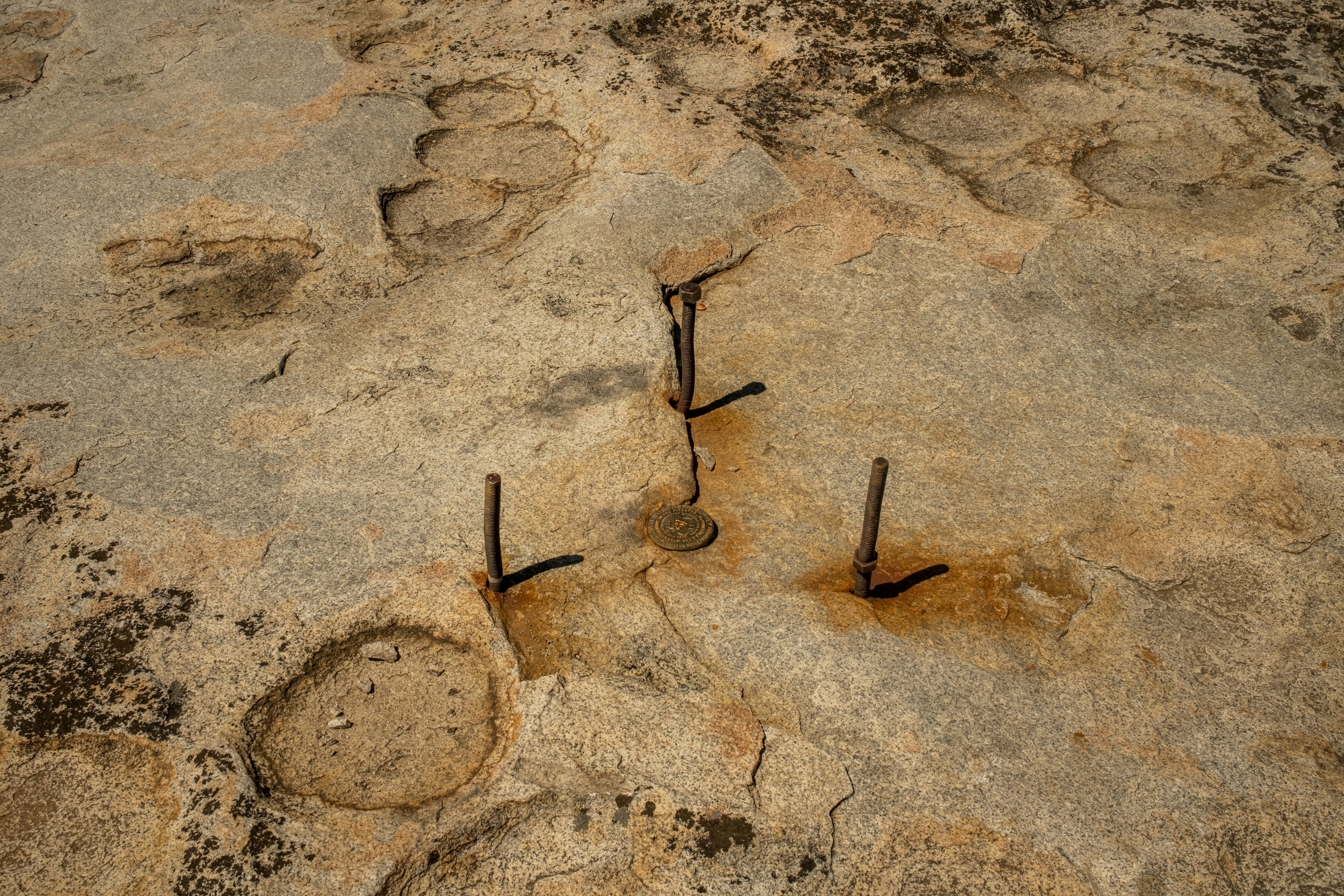 a few small objects on a surface
