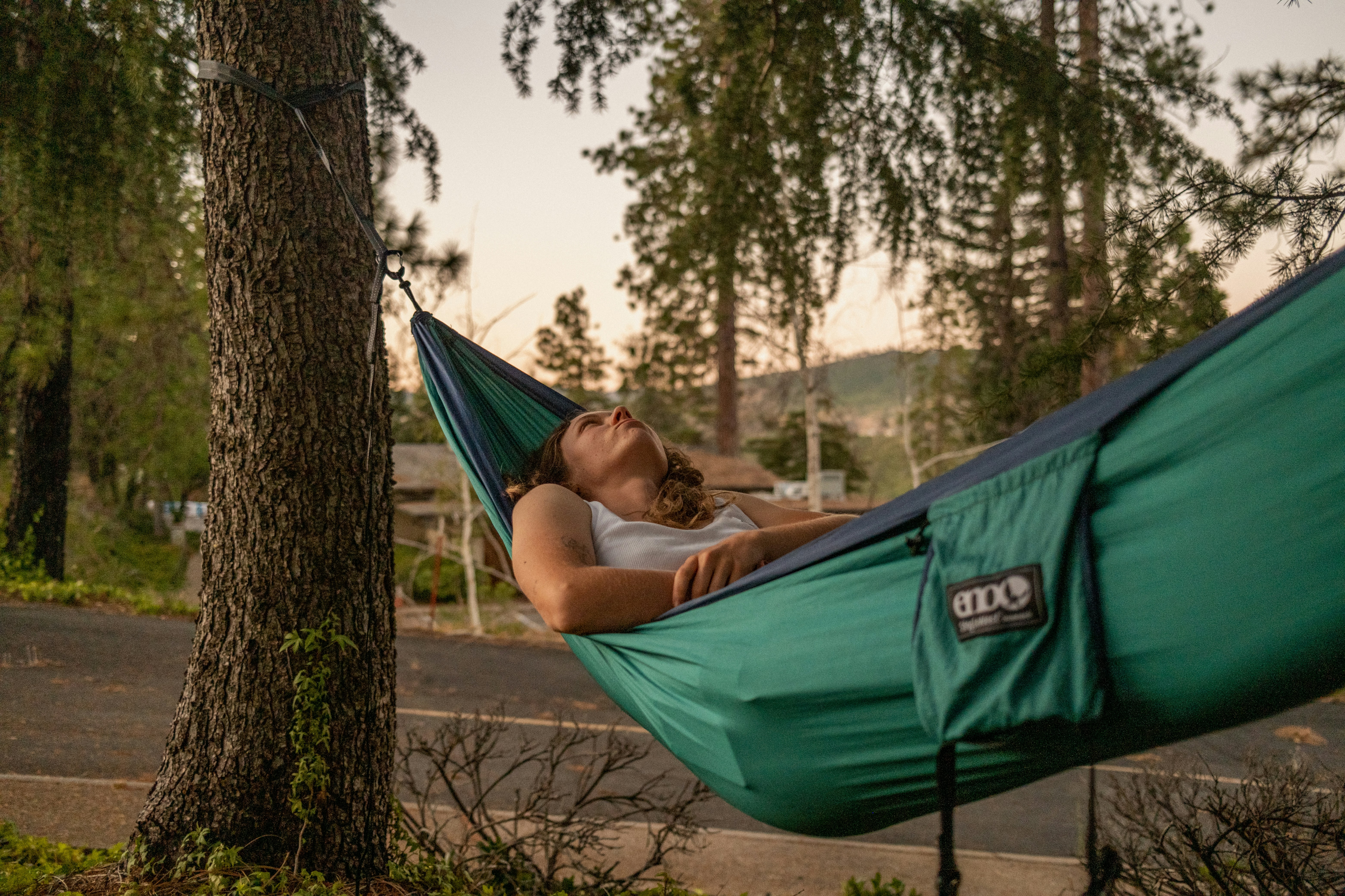 Suspended in Tranquility: A Hammock Moment Under Tall Pines