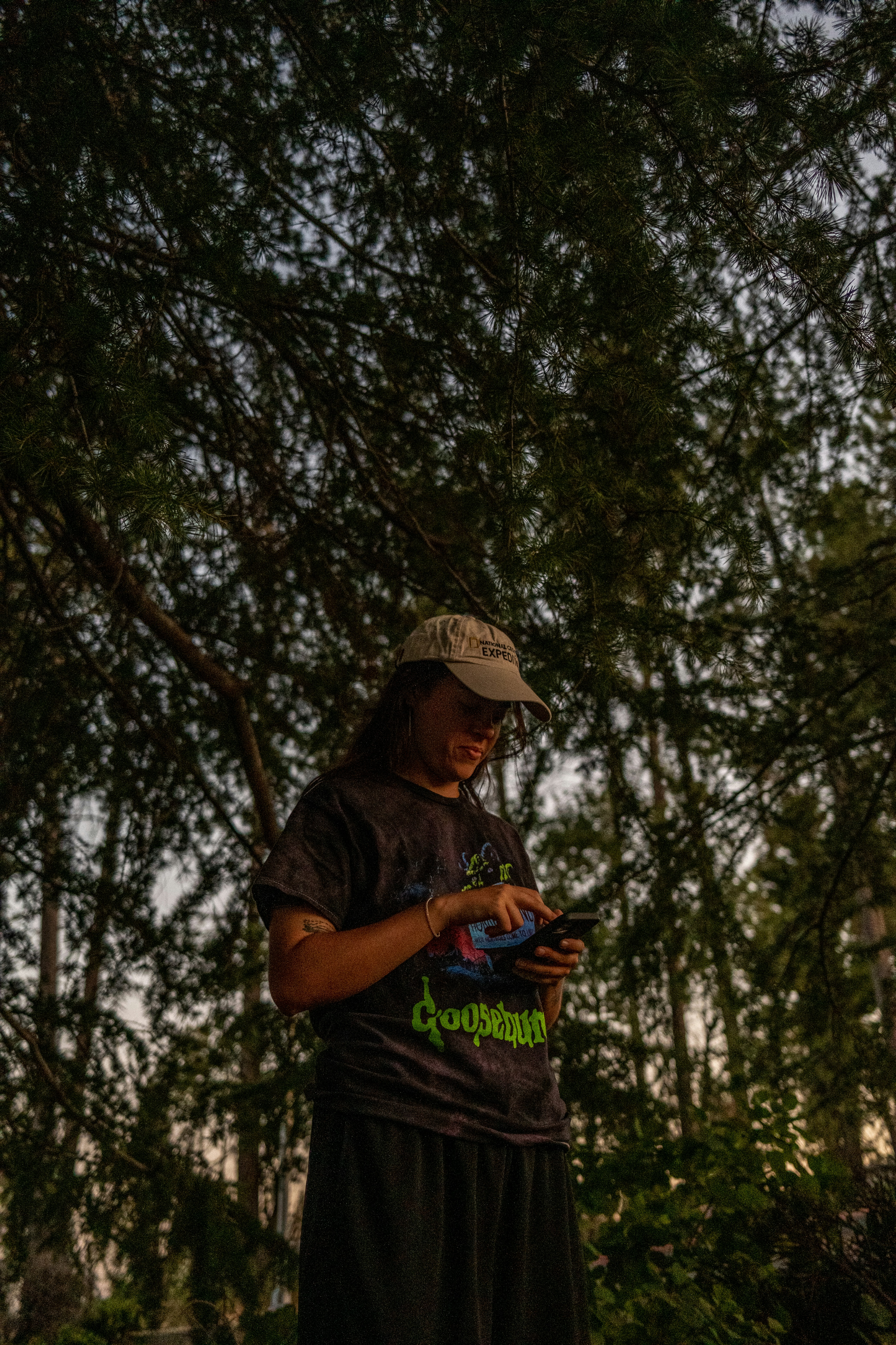 Texting Beneath the Pines: A Quiet Moment in Dim Forest Light