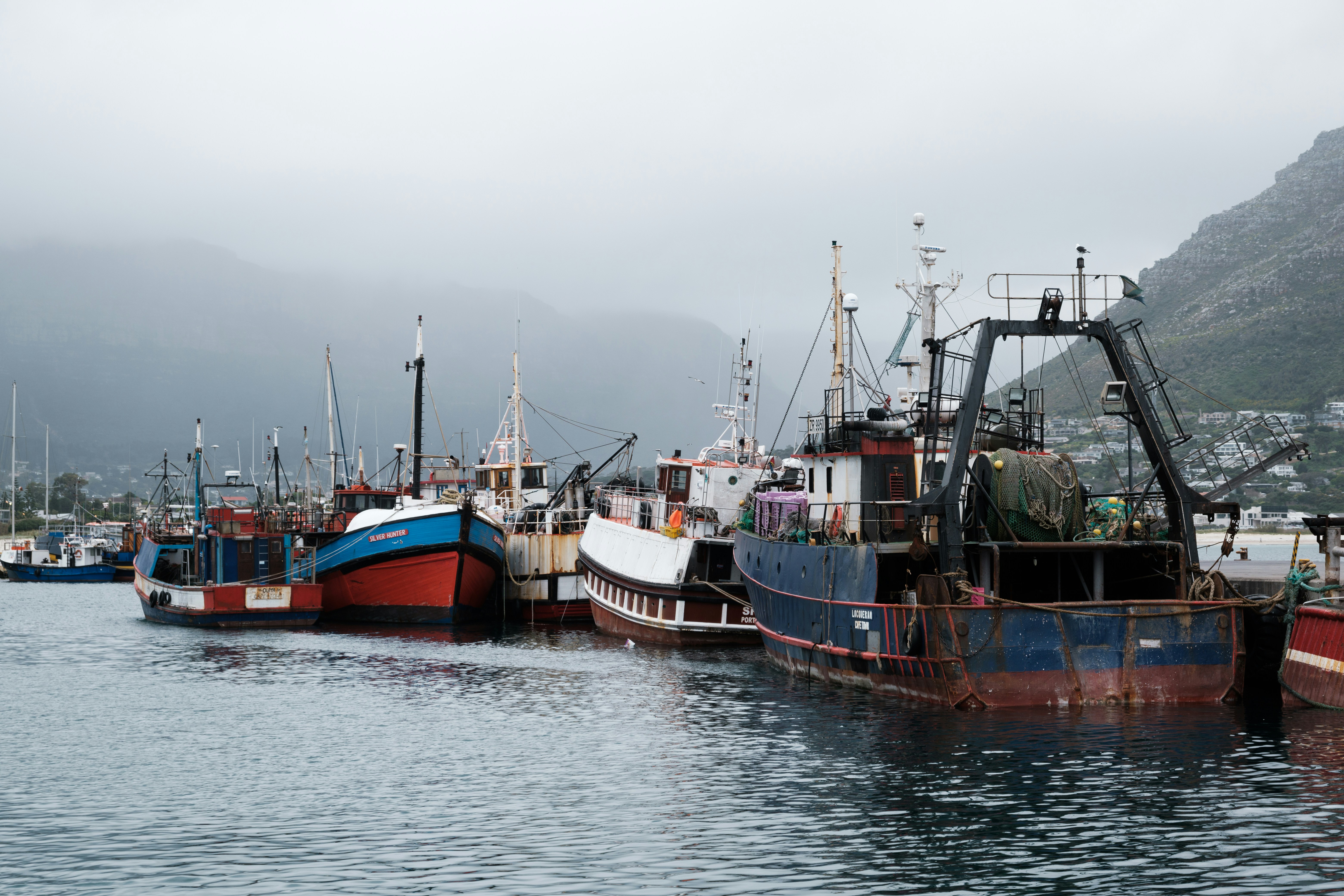 A group of boats in a harbor photo – Free Hout bay Image on Unsplash
