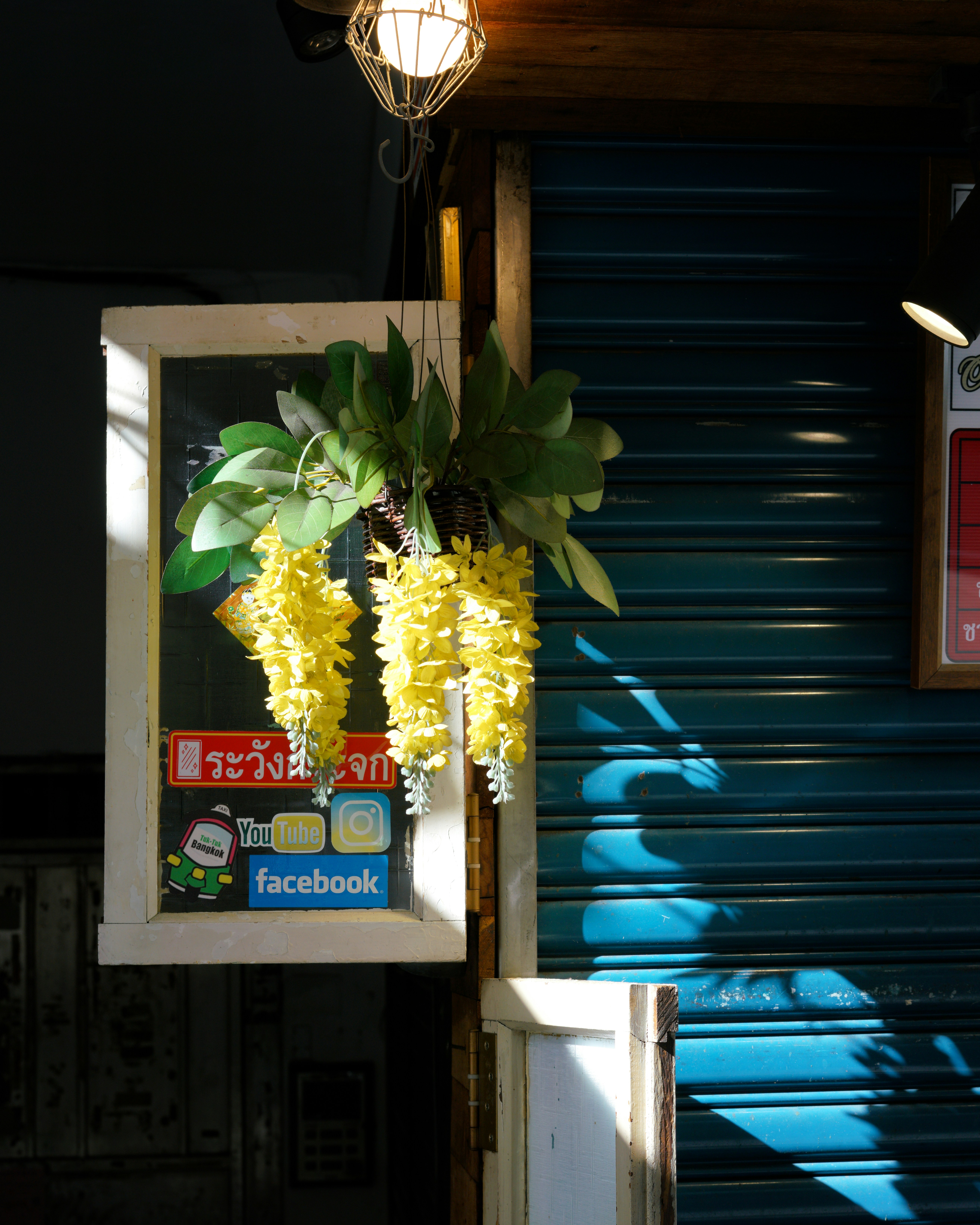 Yellow Cascade by a Neon-Blue Shutter: Signage and Bloom on a Quiet Street