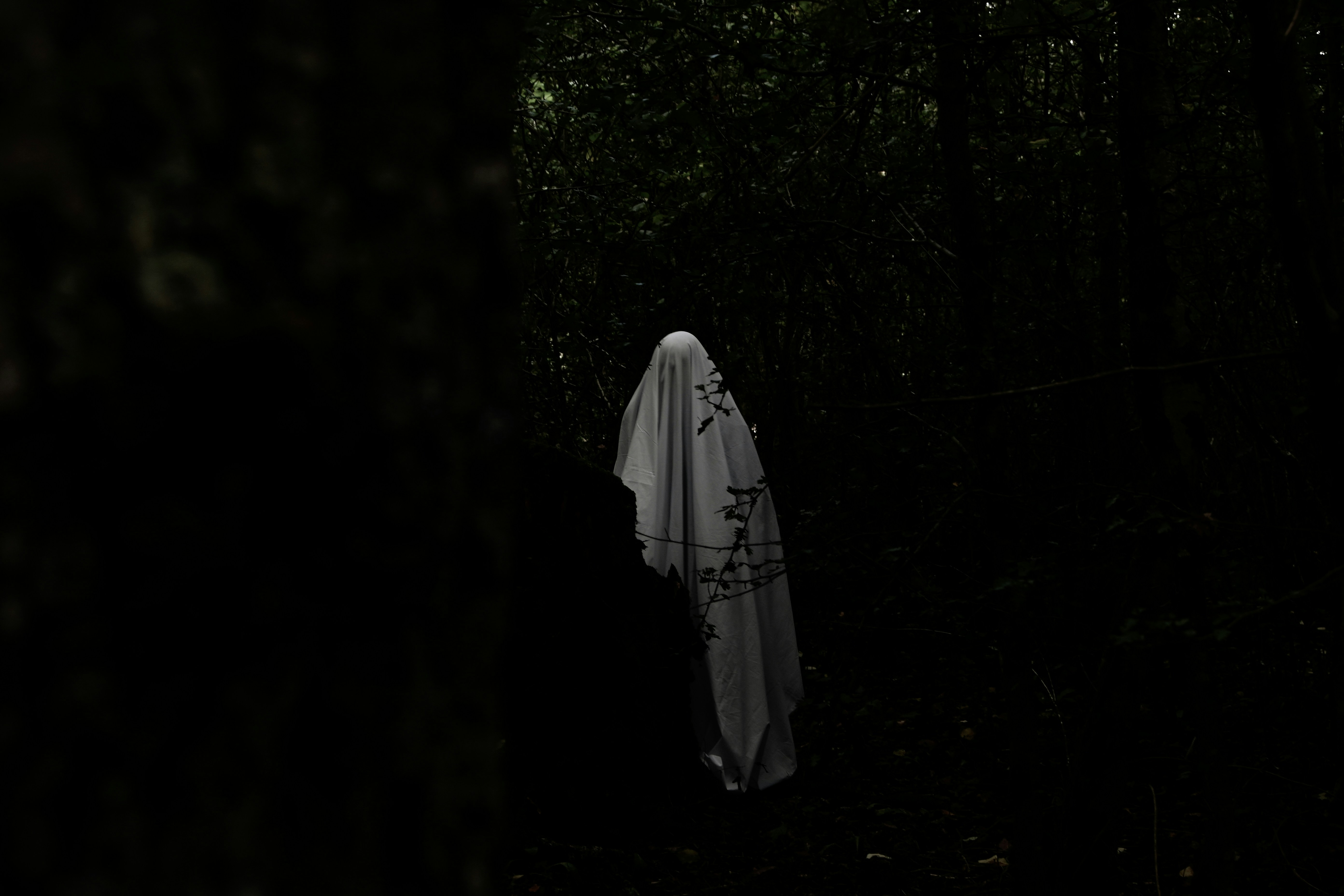 A ghostly figure draped in white stands silently in a dark forest, surrounded by dense trees and shadows.