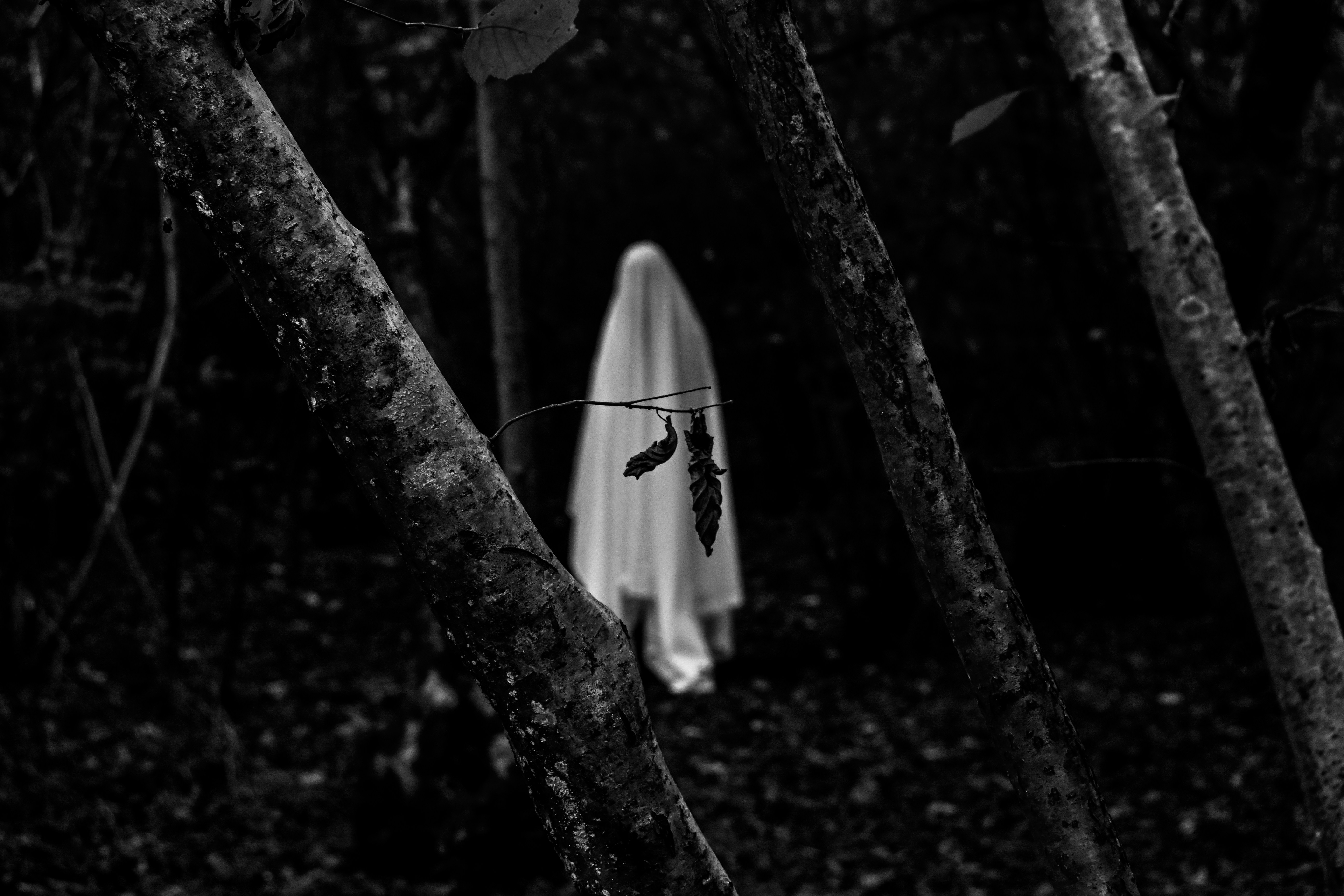 Cool Ghoul shoot | a person standing next to a forest