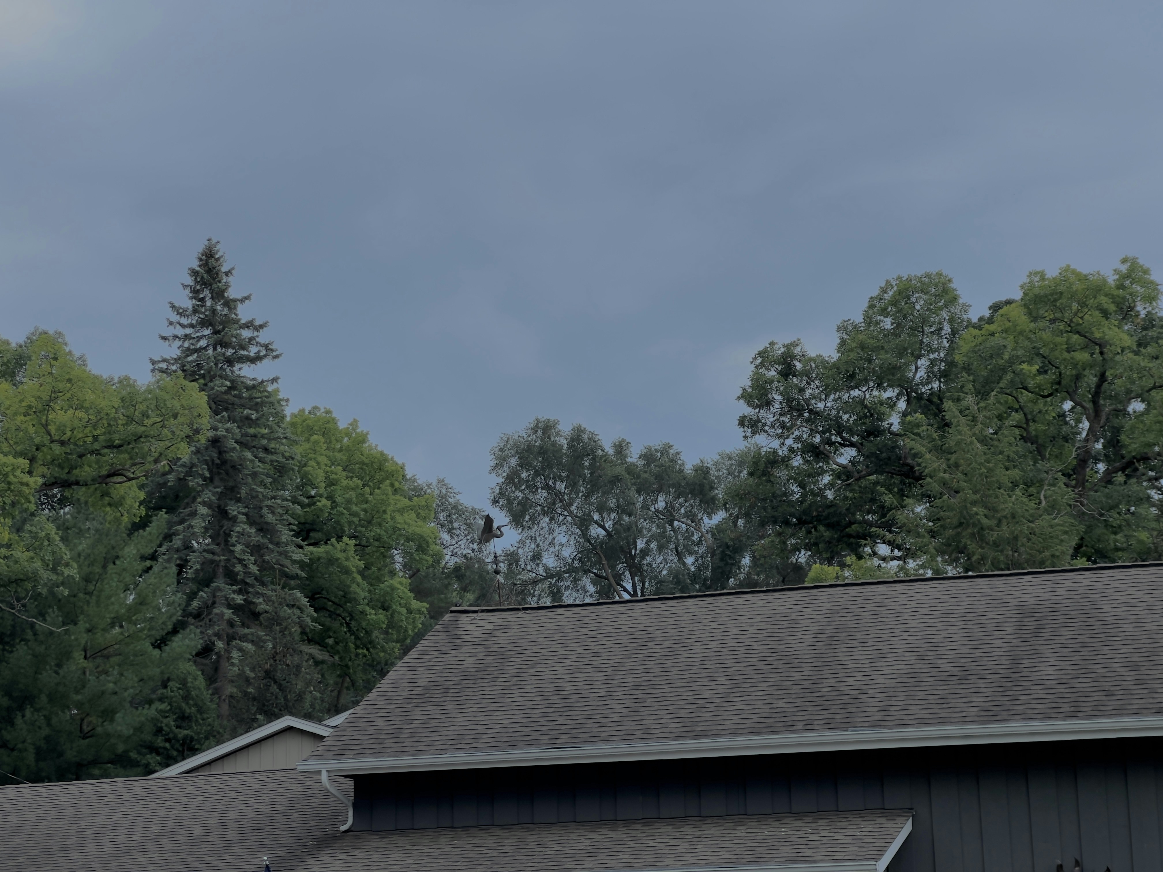 a roof with trees in the background
