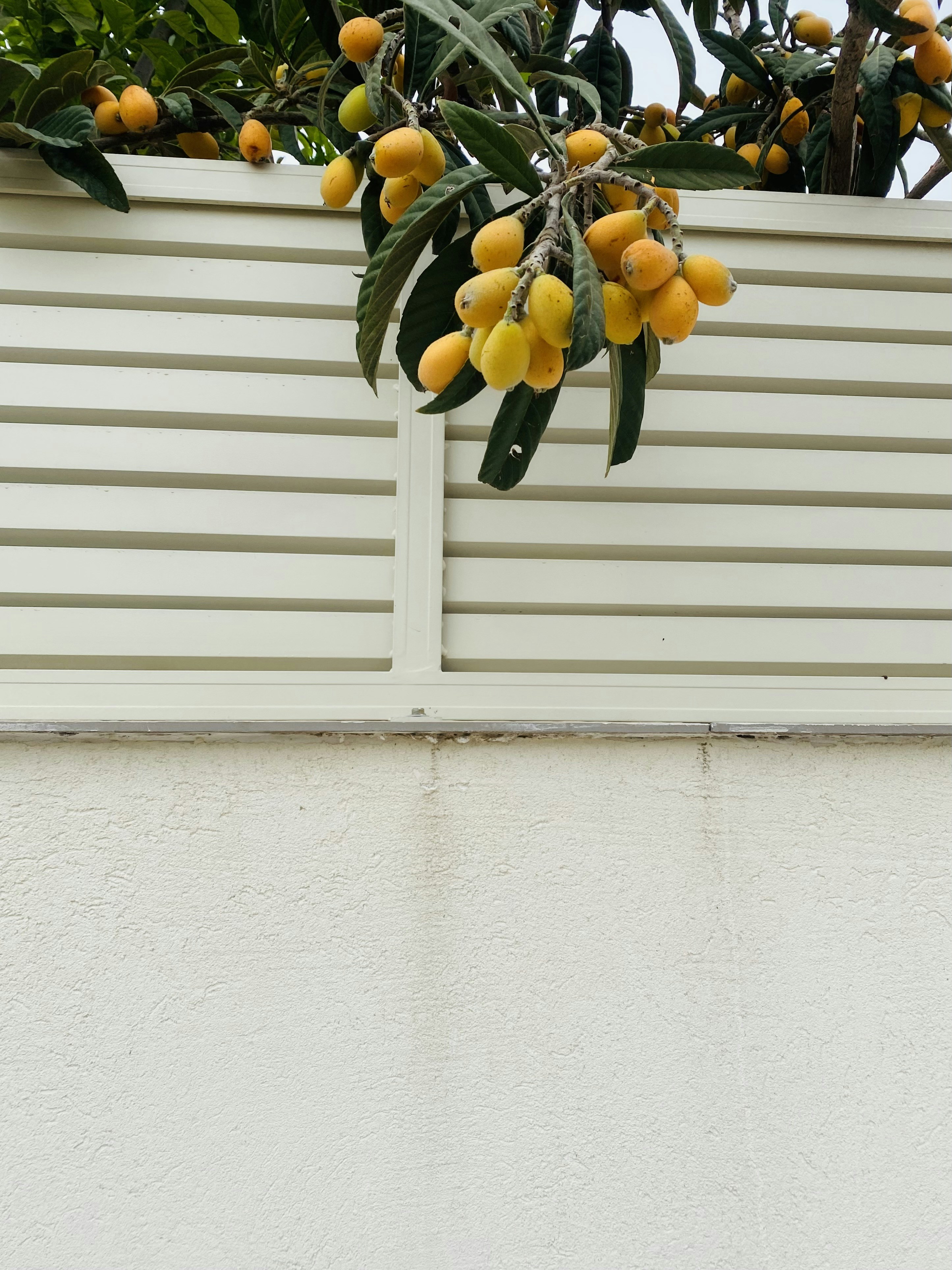 Photo by Nadia Vozniuk with Apple iPhone 11