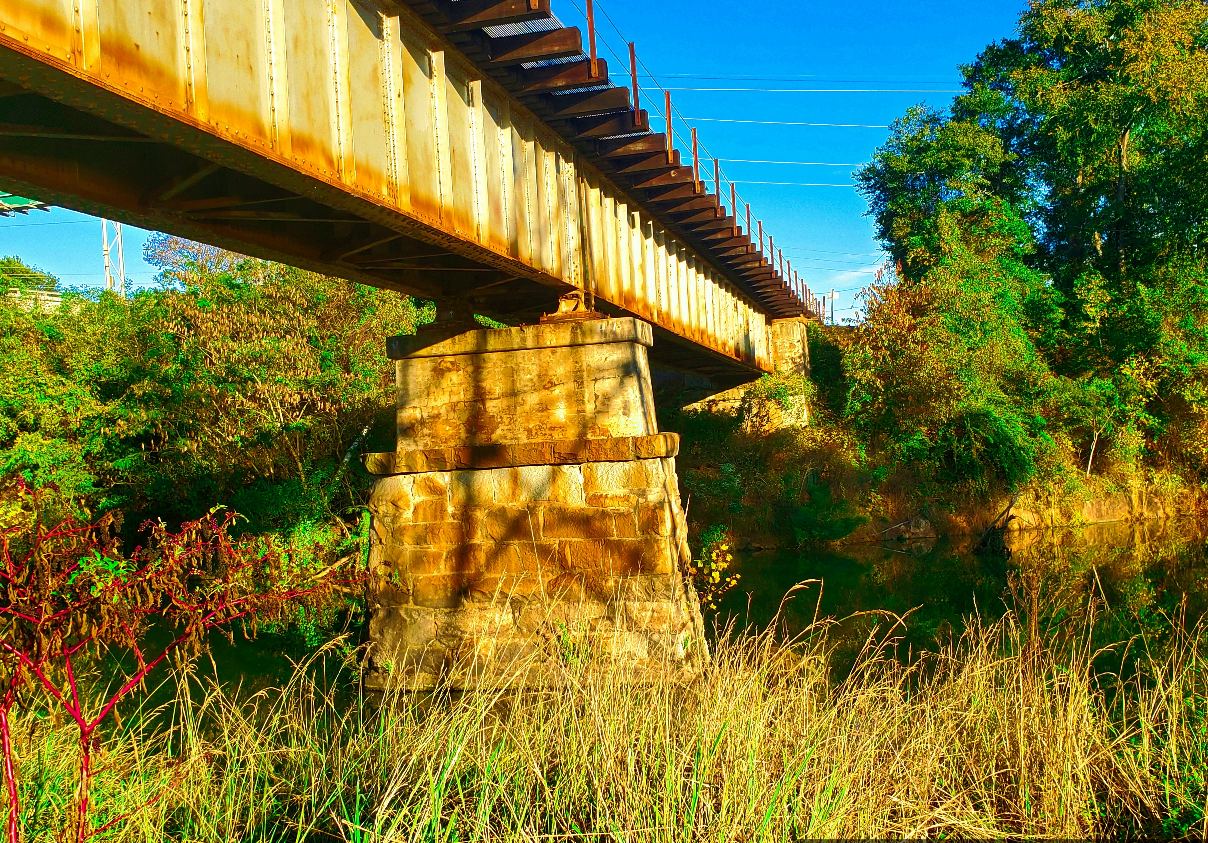 A bridge over a river photo – Free Riverside circle Image on Unsplash