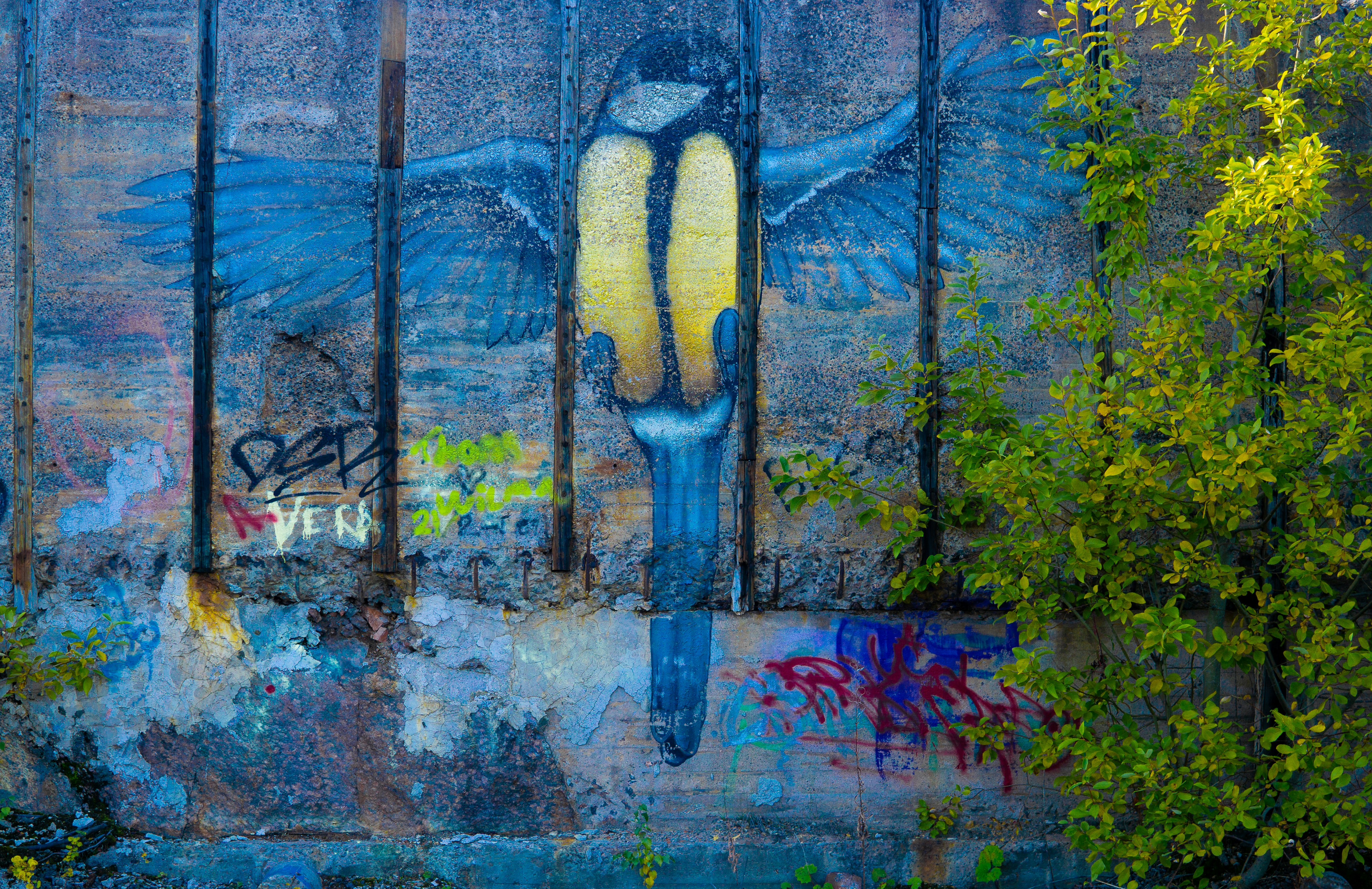A blue painted wall photo – Free Art Image on Unsplash